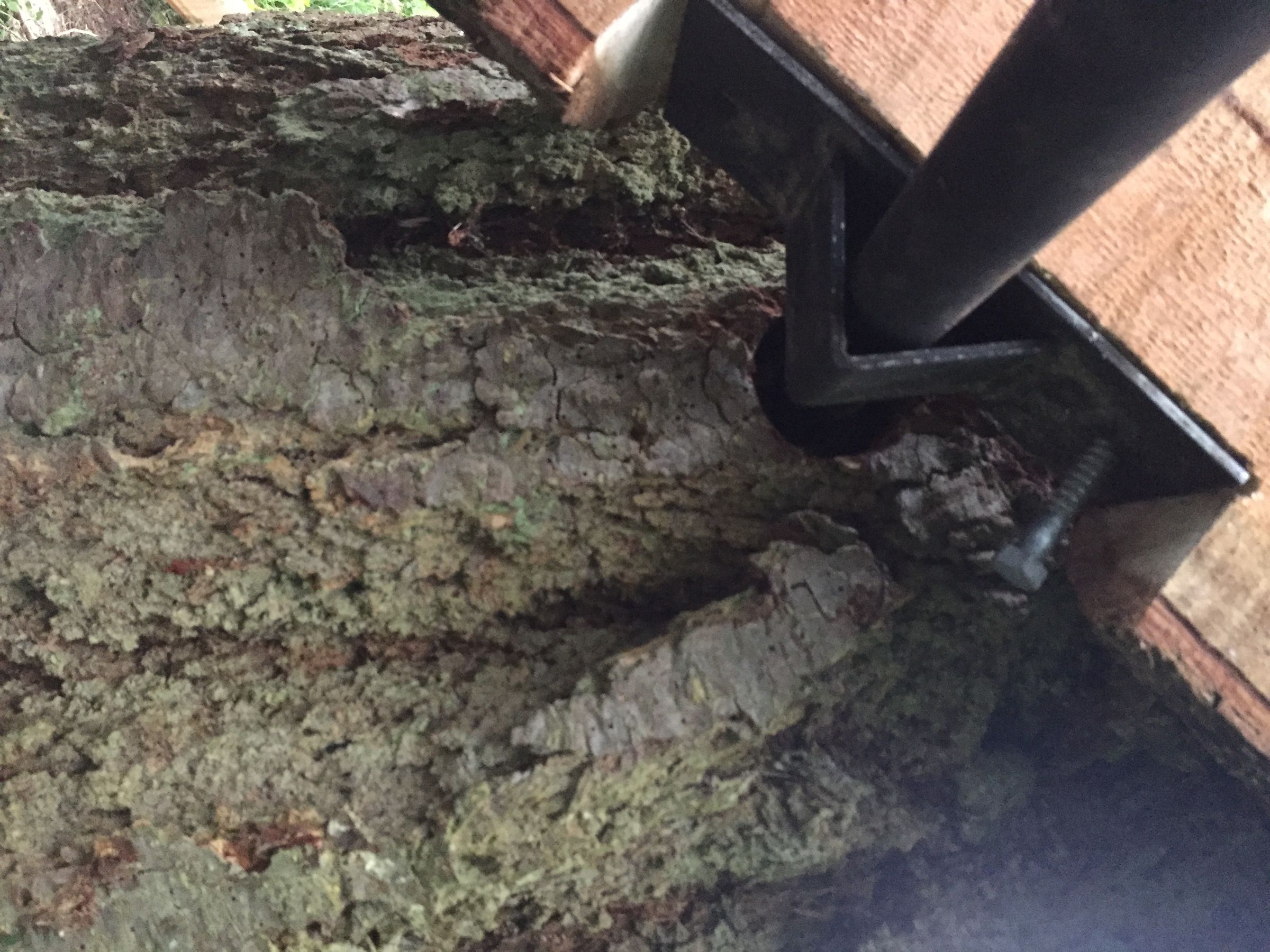 Treehouse Build : 10 Steps (with Pictures) - Instructables