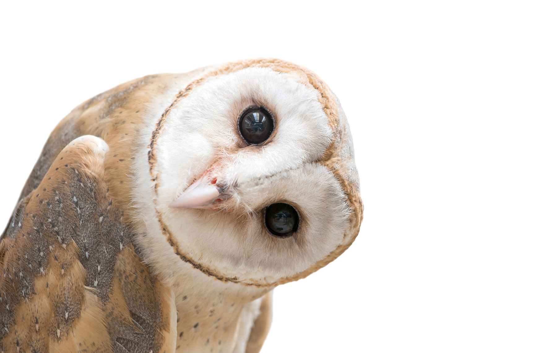 Ideation: Brainstorming & Sketching : 7 Steps - Instructables