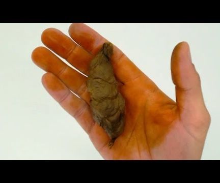 Create a Fake Poop : 3 Steps - Instructables
