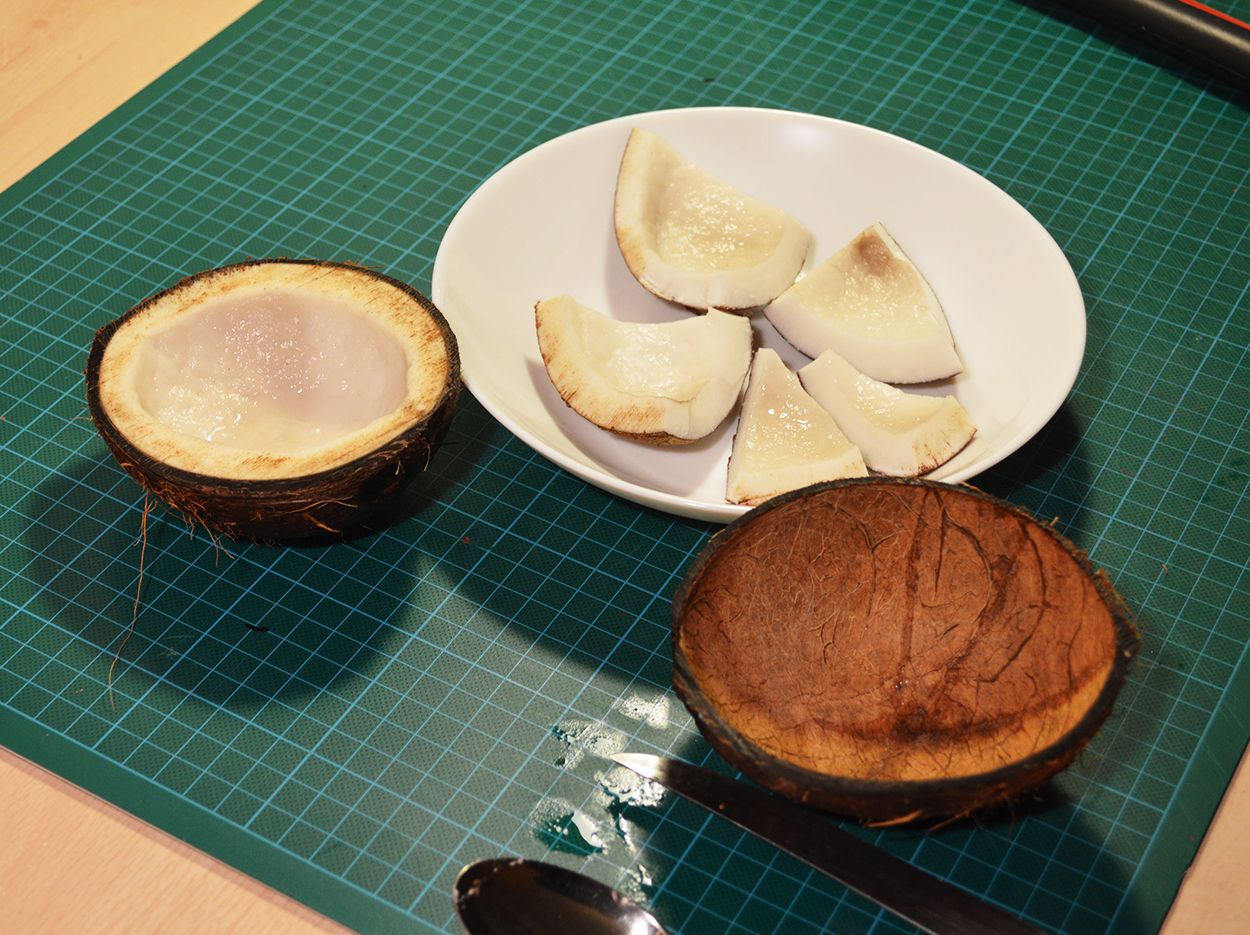 Coconut Bikini Top : 6 Steps (with Pictures) - Instructables