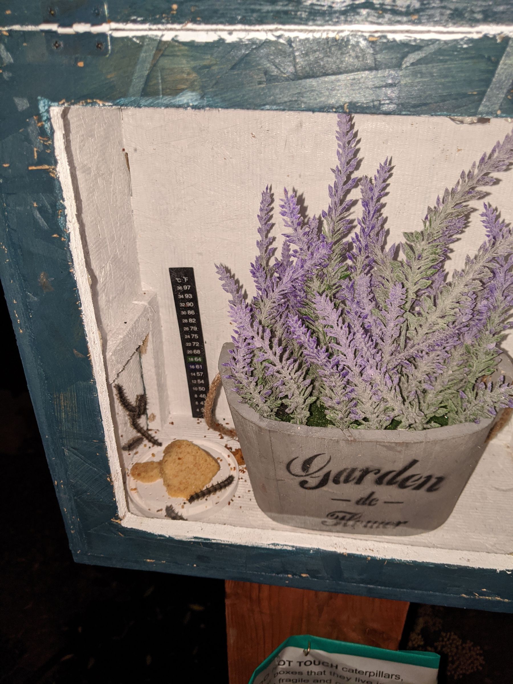 Butterfly Garden Boxes : 5 Steps (with Pictures) - Instructables
