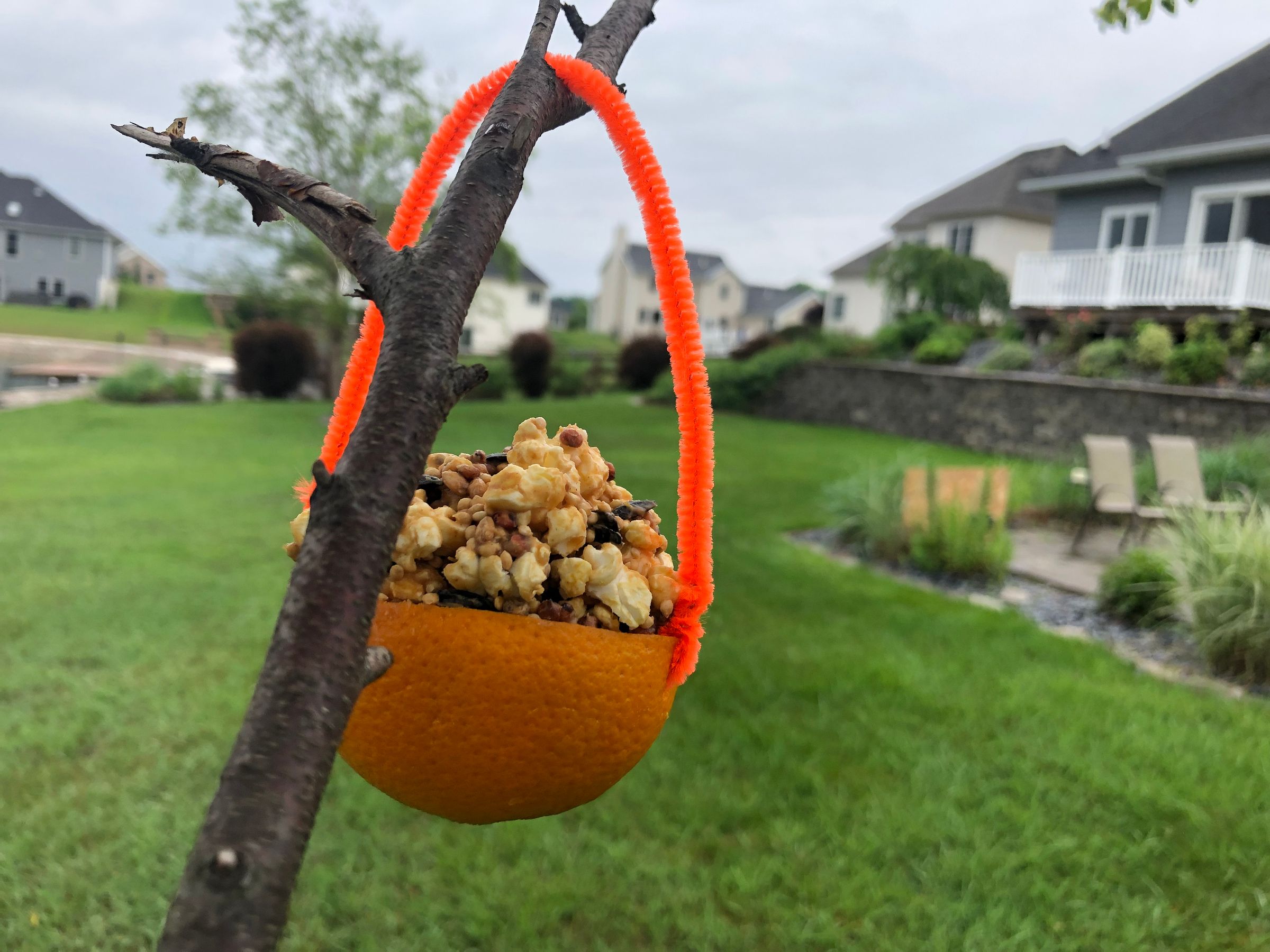 Orange Bird Feeder : 9 Steps (with Pictures) - Instructables