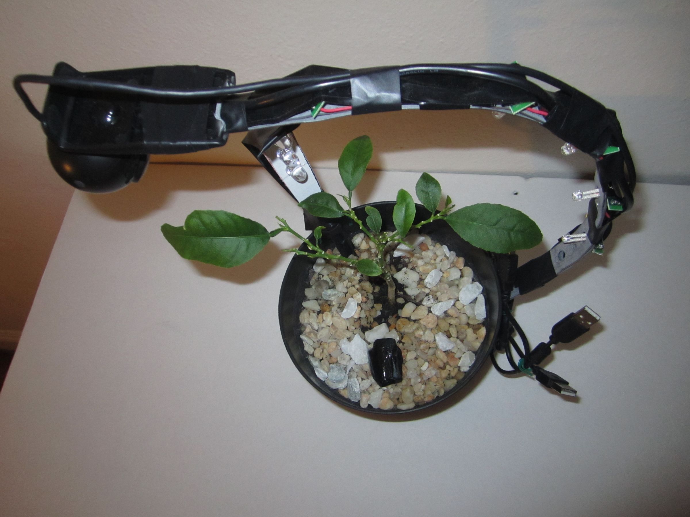 USB Powered LED Grow Light : 4 Steps - Instructables