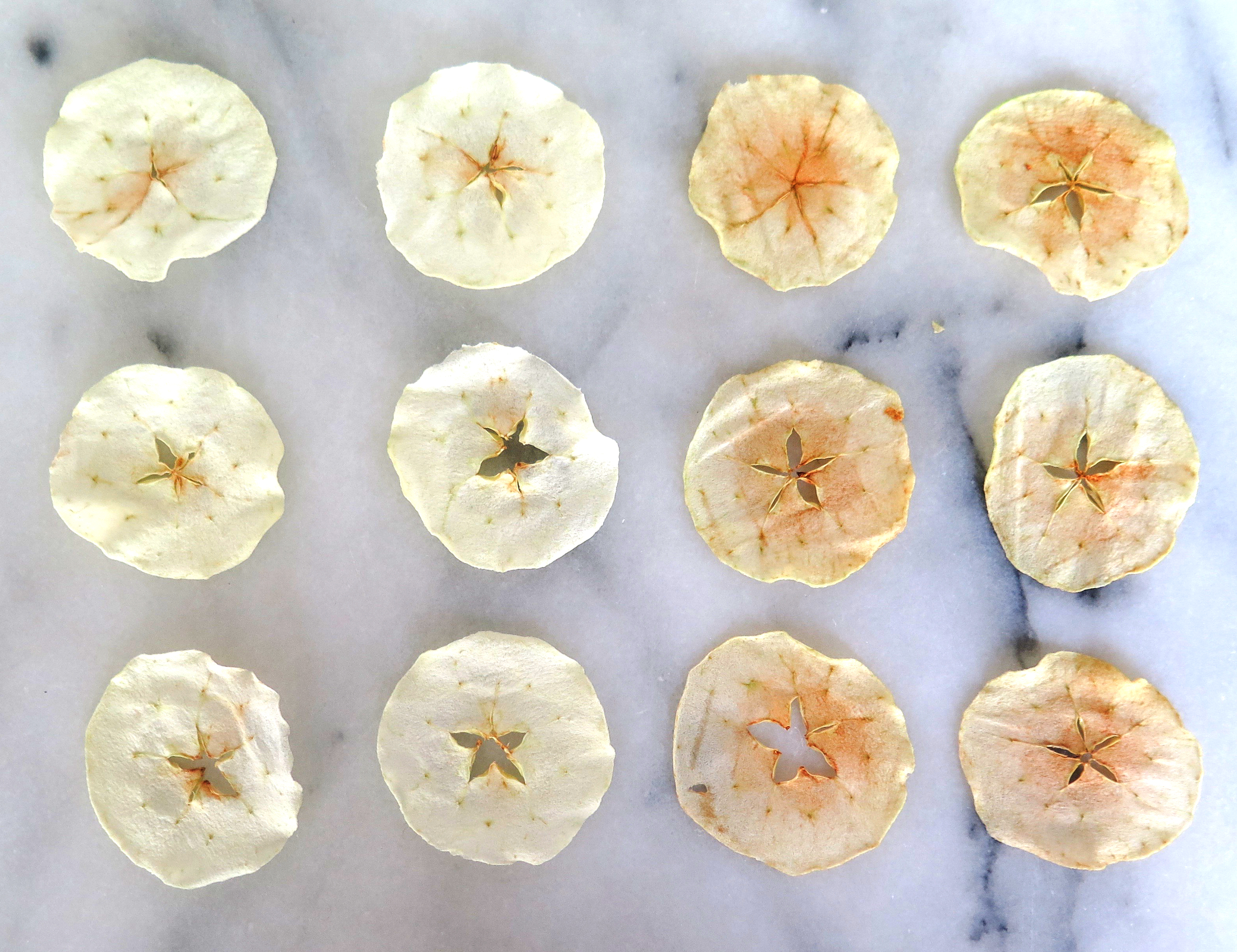 How to Dehydrate Apples : 5 Steps (with Pictures) - Instructables