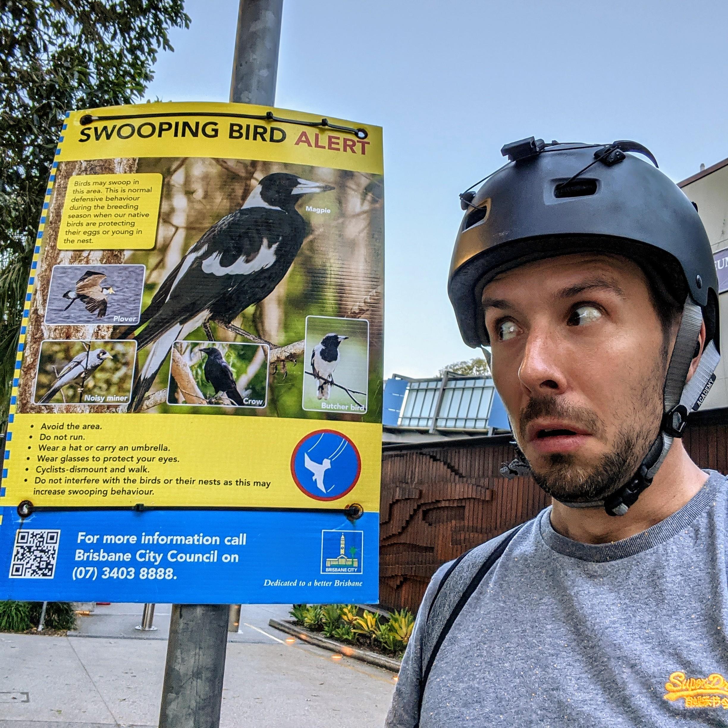 Swoop Stopper Helmet : 5 Steps (with Pictures) - Instructables