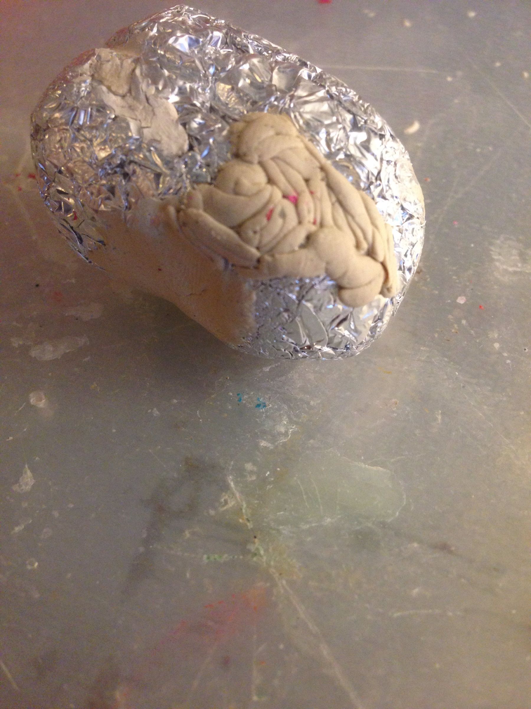 DIY Little Fake Brain : 5 Steps - Instructables