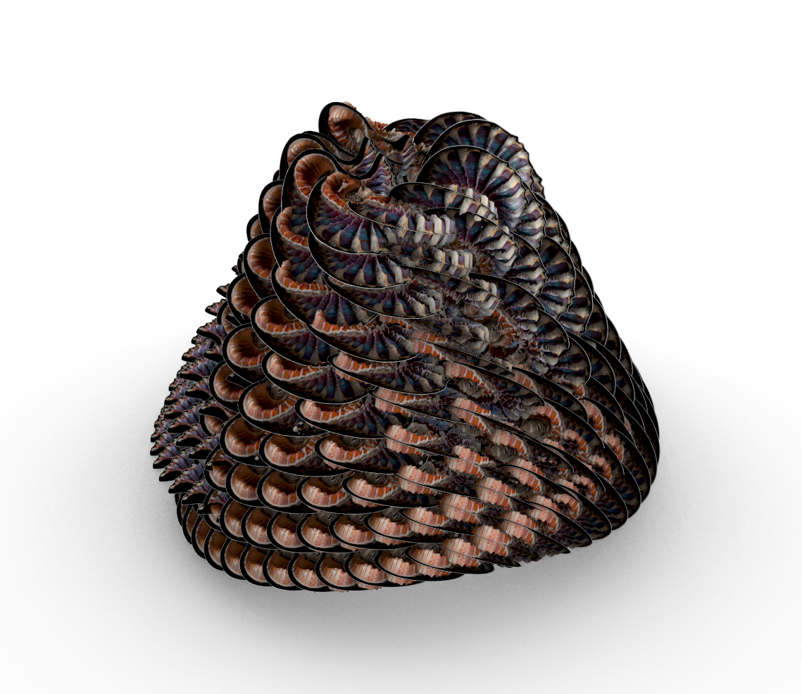 Angulate Wentletrap Inspired Shell : 7 Steps (with Pictures ...