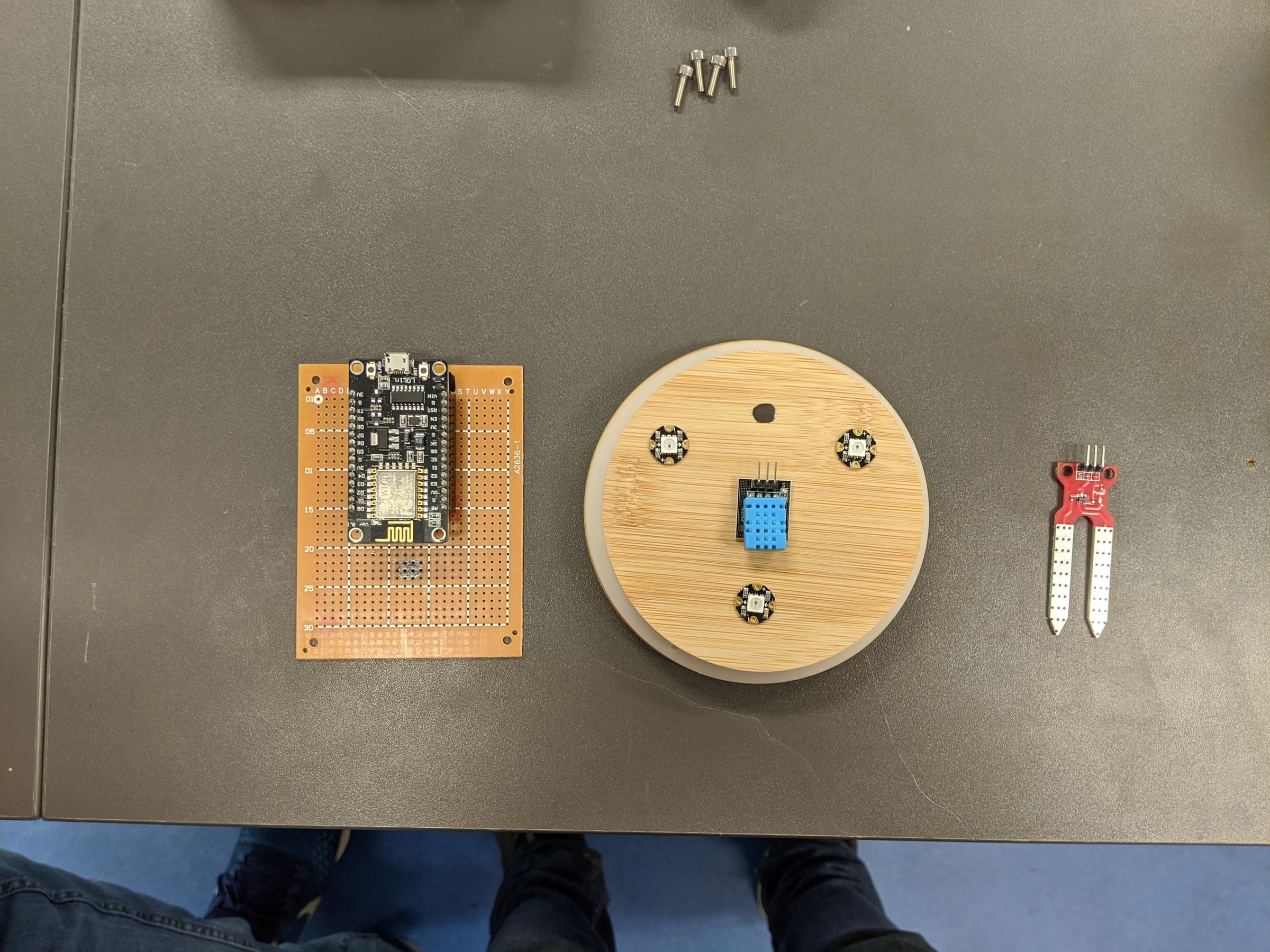 IoT-Terrarium : 6 Steps (with Pictures) - Instructables