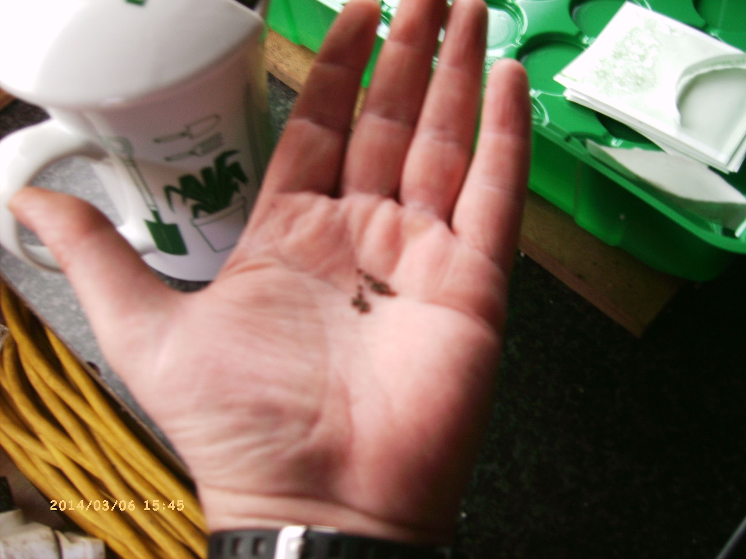 Need for Seed : 7 Steps - Instructables