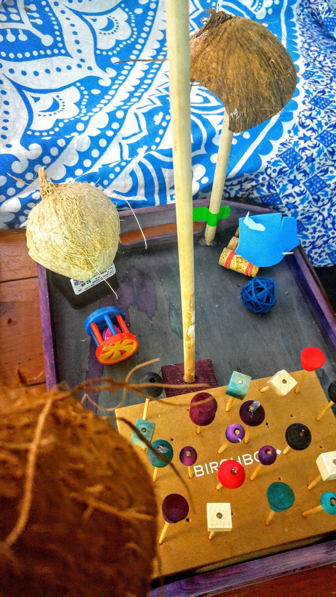 Parakeet Playground : 9 Steps - Instructables