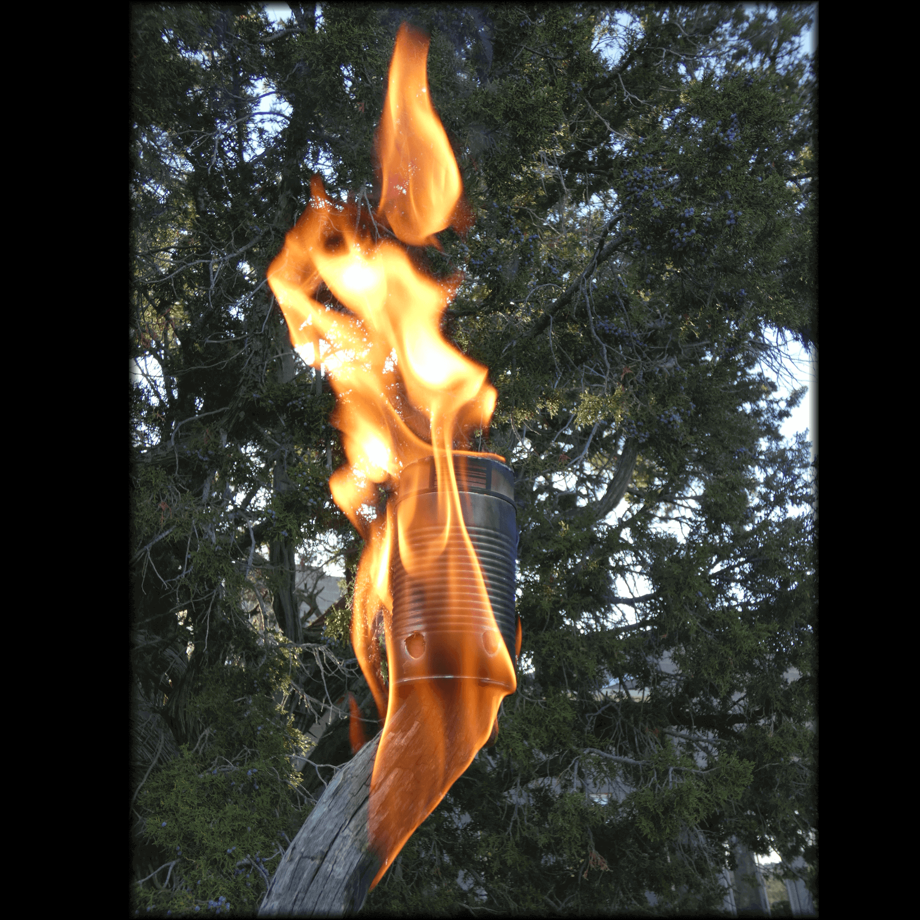 Cardboard Kerosene Torch : 6 Steps - Instructables