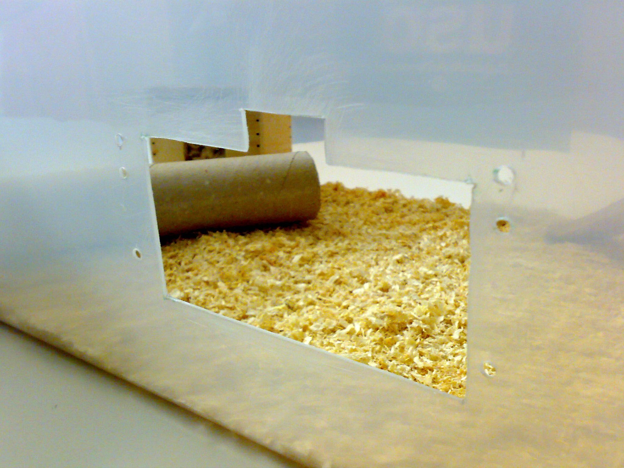 Your Hamster's New Home : 11 Steps (with Pictures) - Instructables