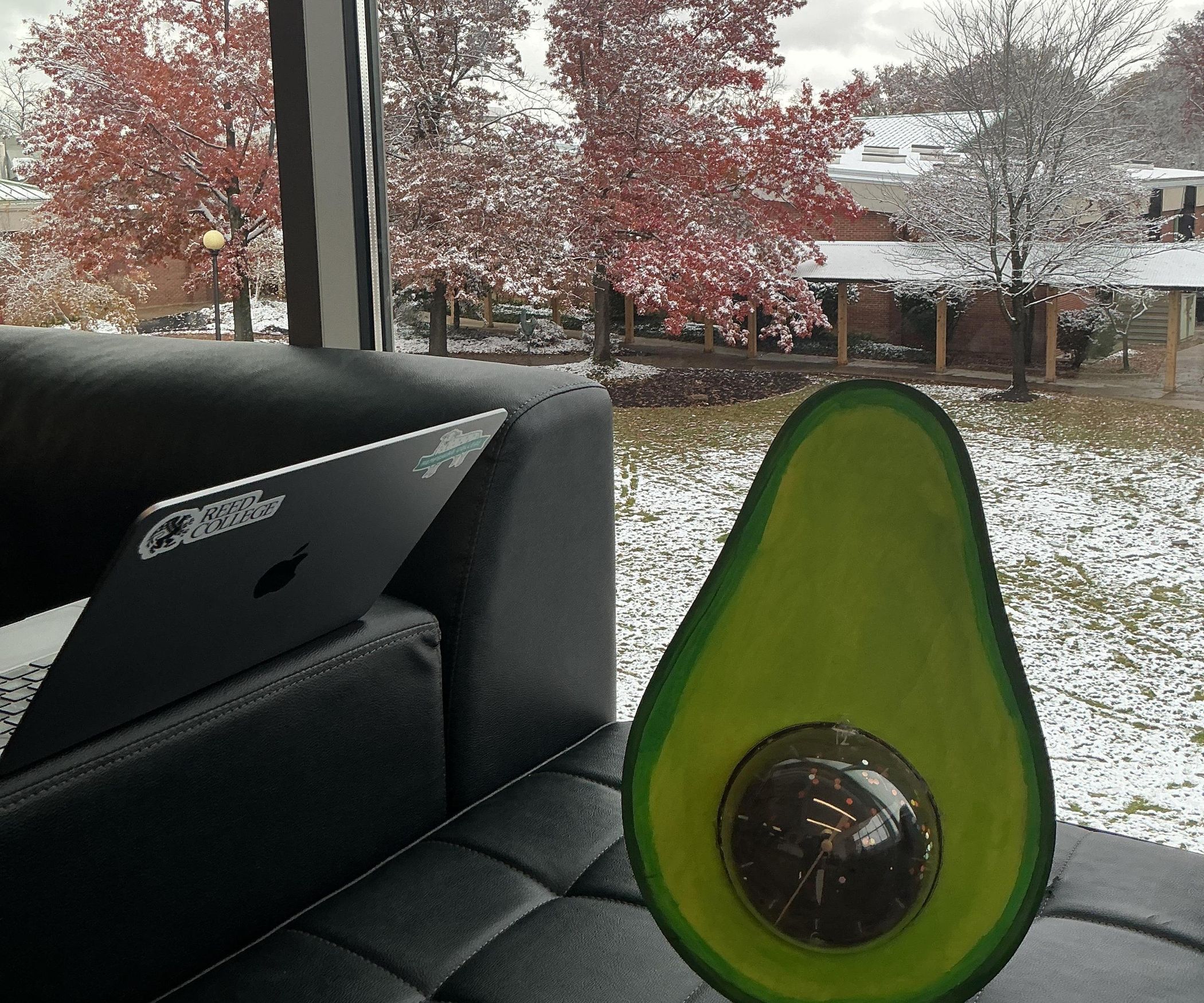 Avocado Clock : 5 Steps (with Pictures) - Instructables