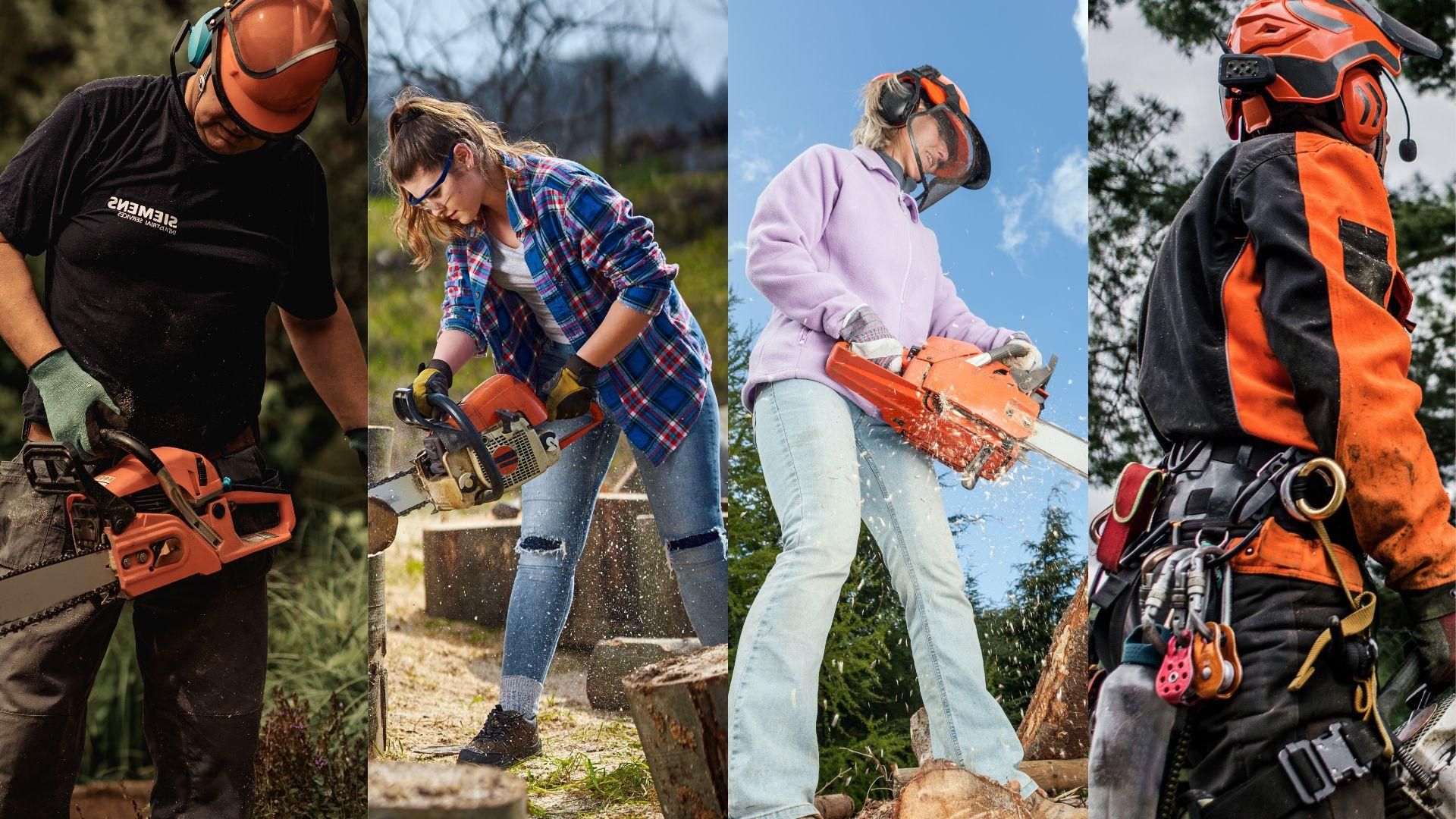 Chainsaw Carving Unveiled: Start Your Journey With Our Step-by-Step Bear Carving Tutorial : 3 ...