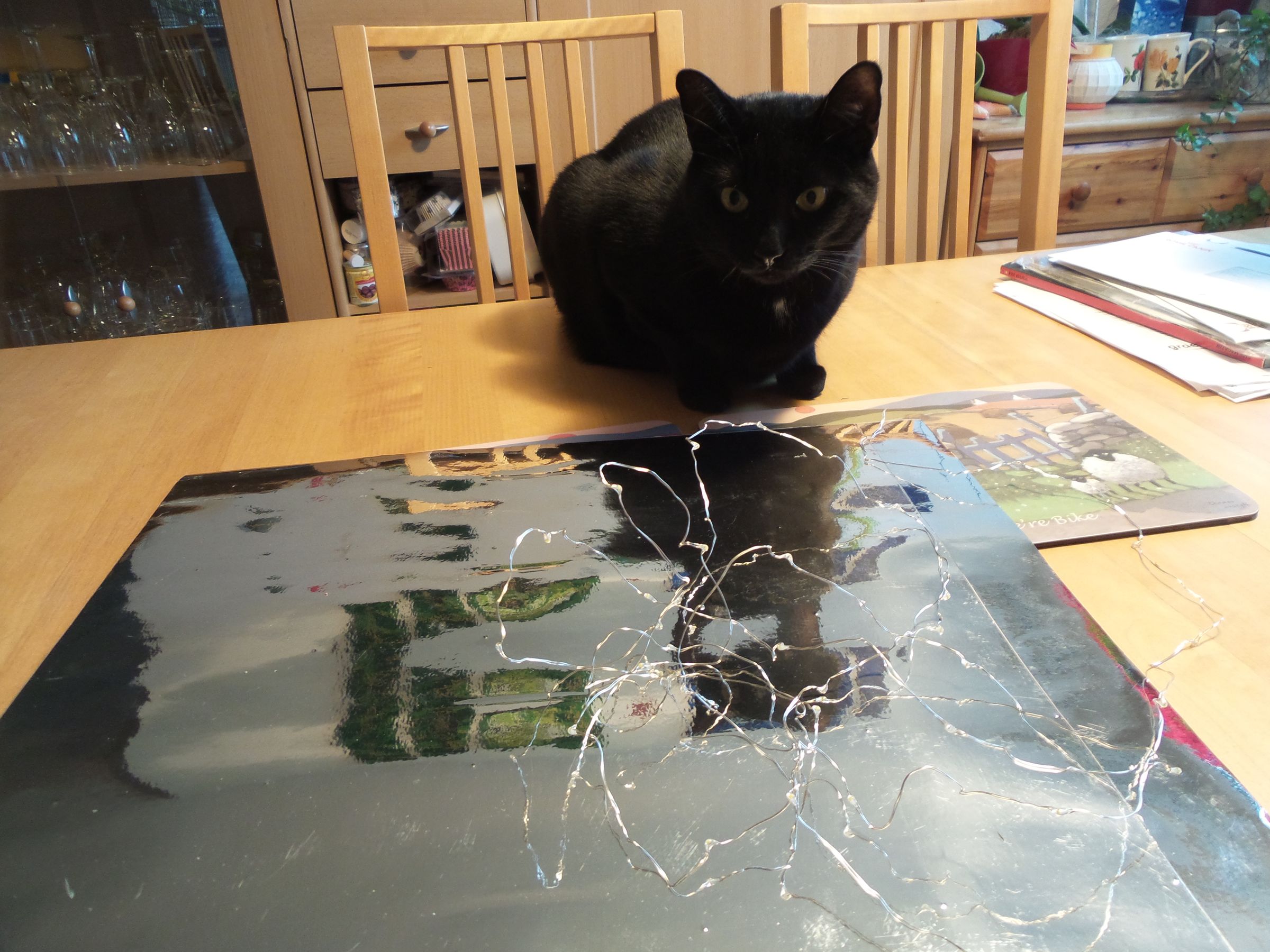 Backlit Frame Lightbox : 4 Steps - Instructables
