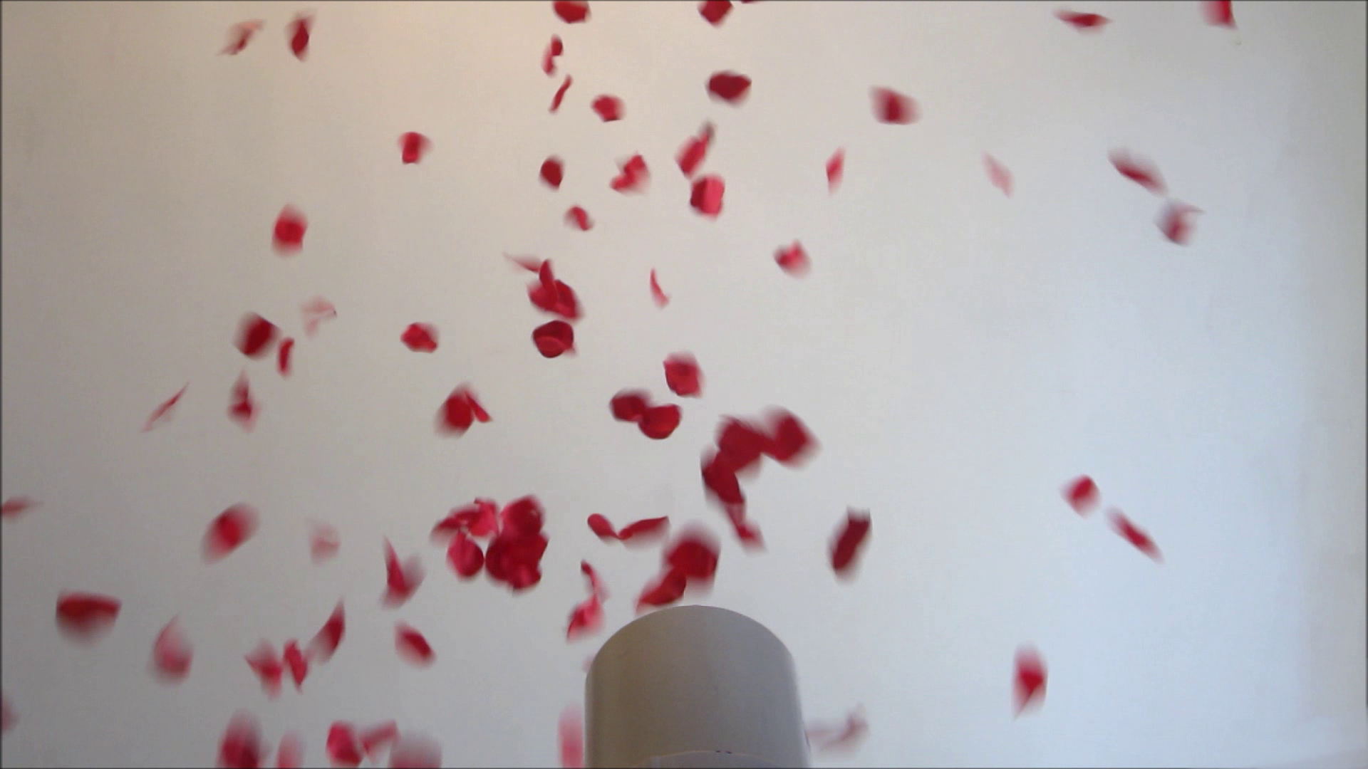 Handheld Confetti Cannon : 10 Steps (with Pictures) - Instructables
