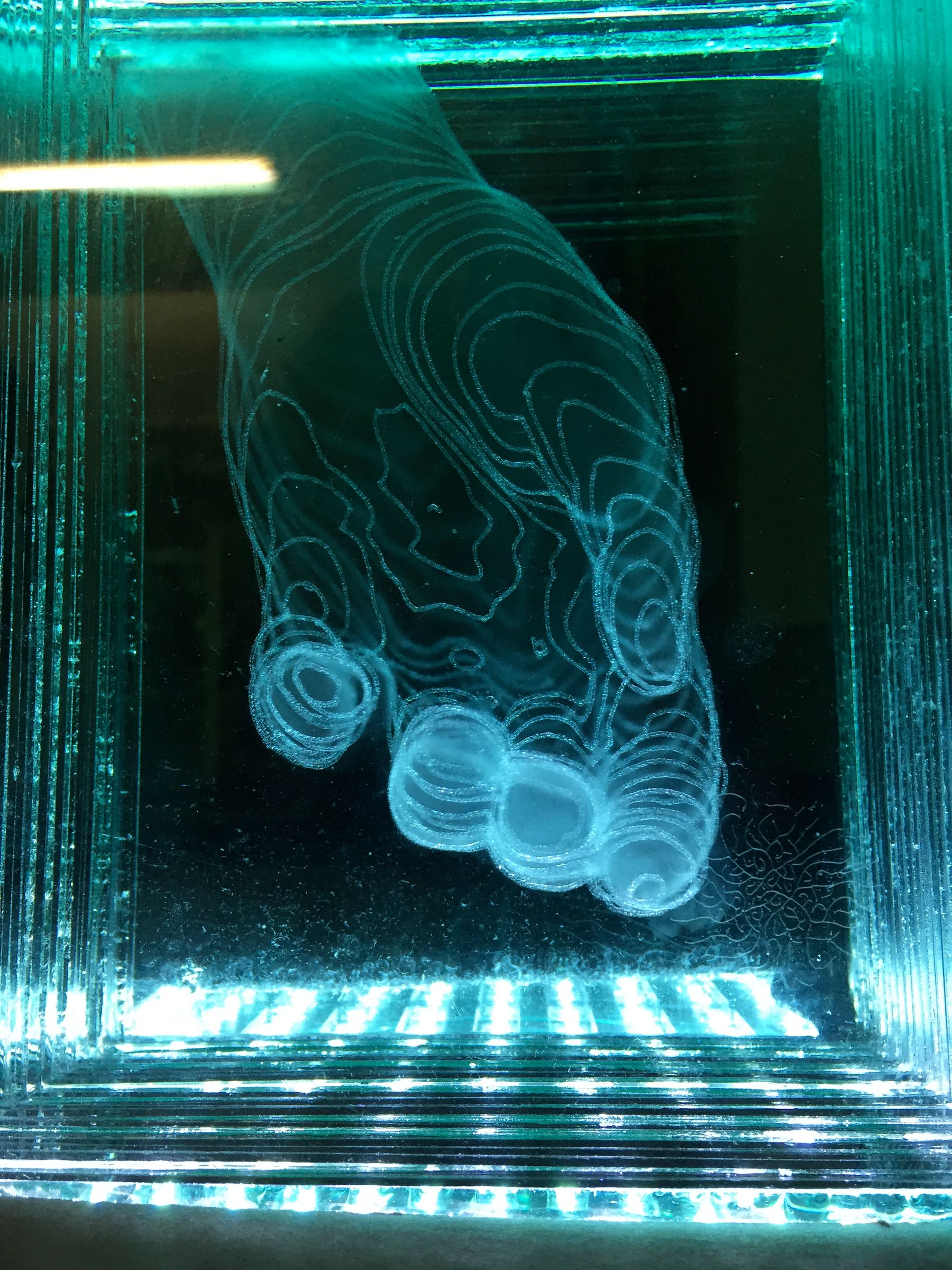 Laser Etching Glass : 10 Steps (with Pictures) - Instructables