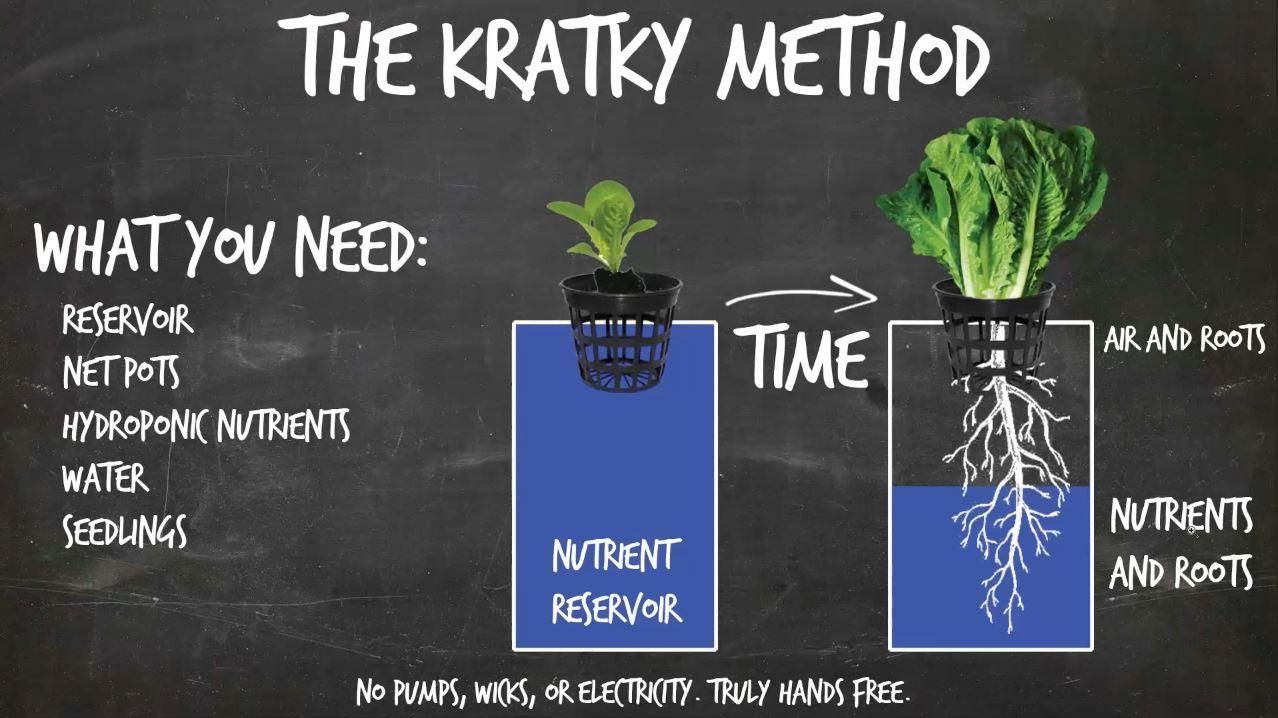 Mini Kratky Jars - Easy Hydroponics : 12 Steps (with Pictures ...
