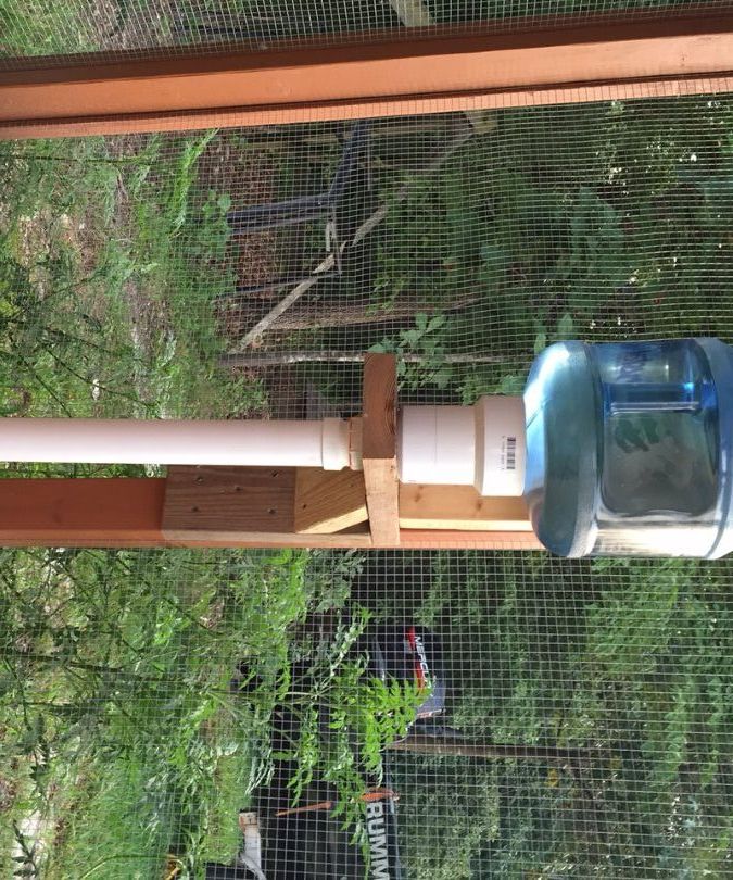 PVC Chicken Waterer : 8 Steps (with Pictures) - Instructables