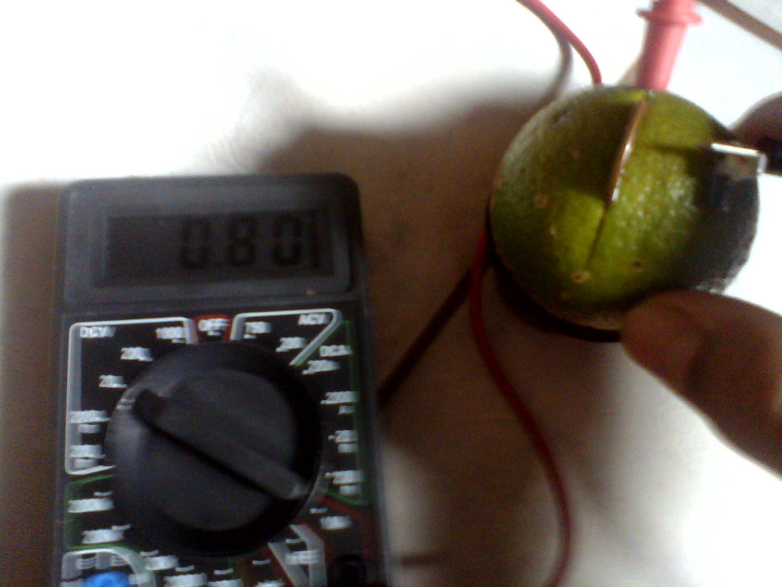 Simple Electrolytic Cell Made with Citrus Fruits : 4 Steps - Instructables