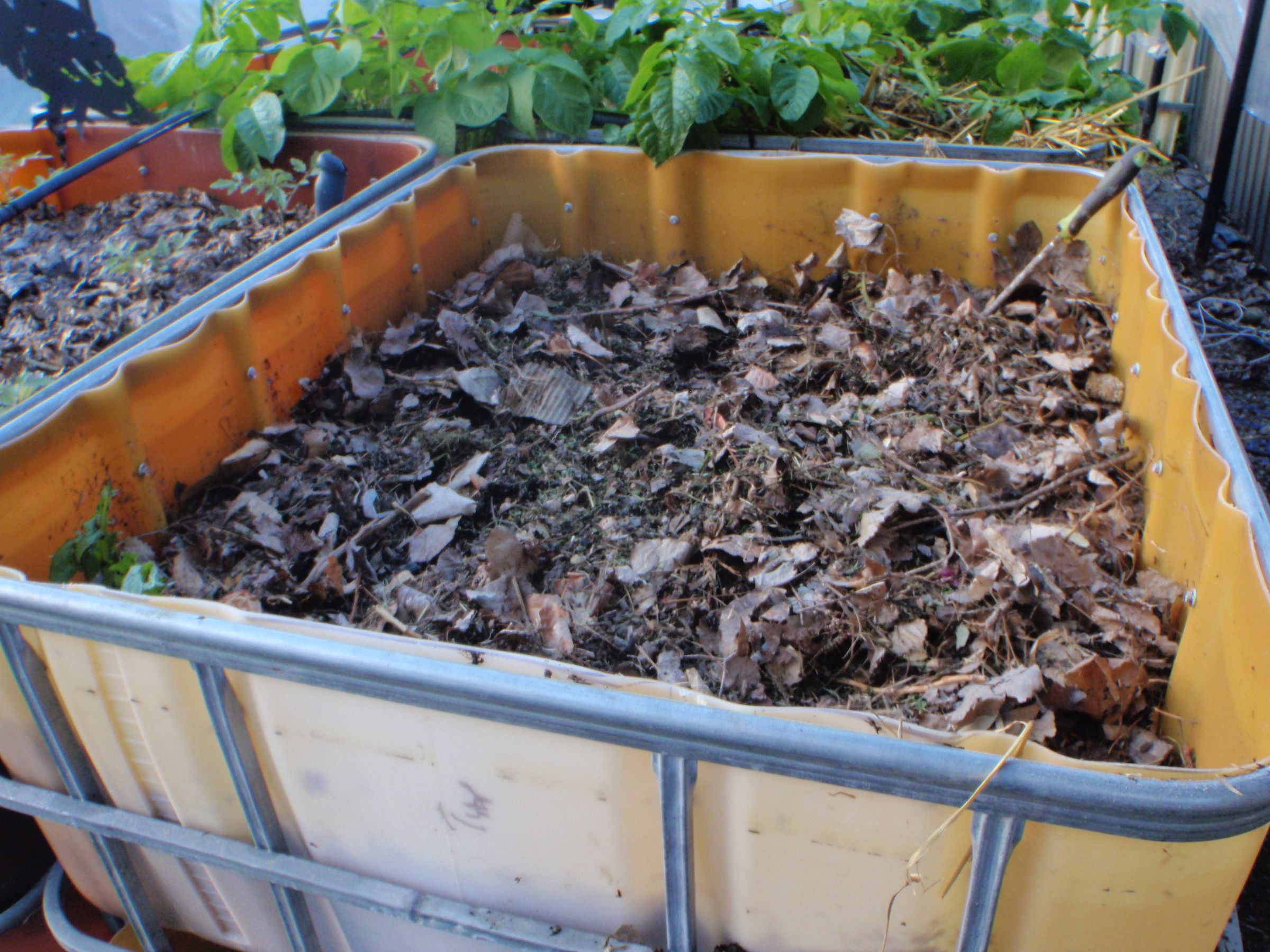 Vermiponic Garden : 12 Steps (with Pictures) - Instructables