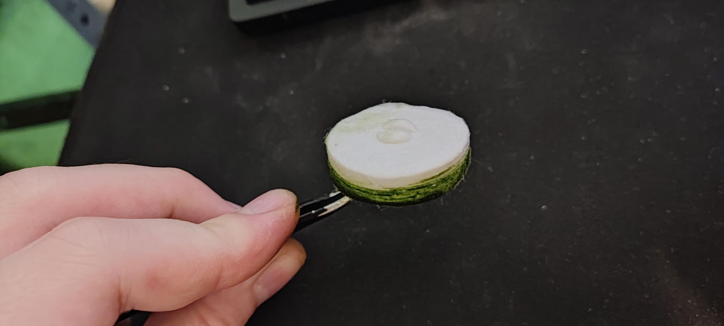 Furkan`s Cheap MicroAlgae Filter : 35 Steps (with Pictures) - Instructables