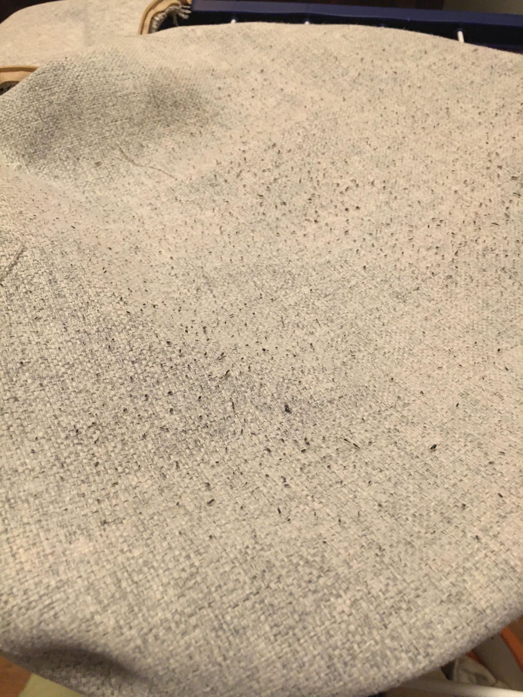 From Ugly to As Good As New - Chair Refurbishment : 6 Steps - Instructables