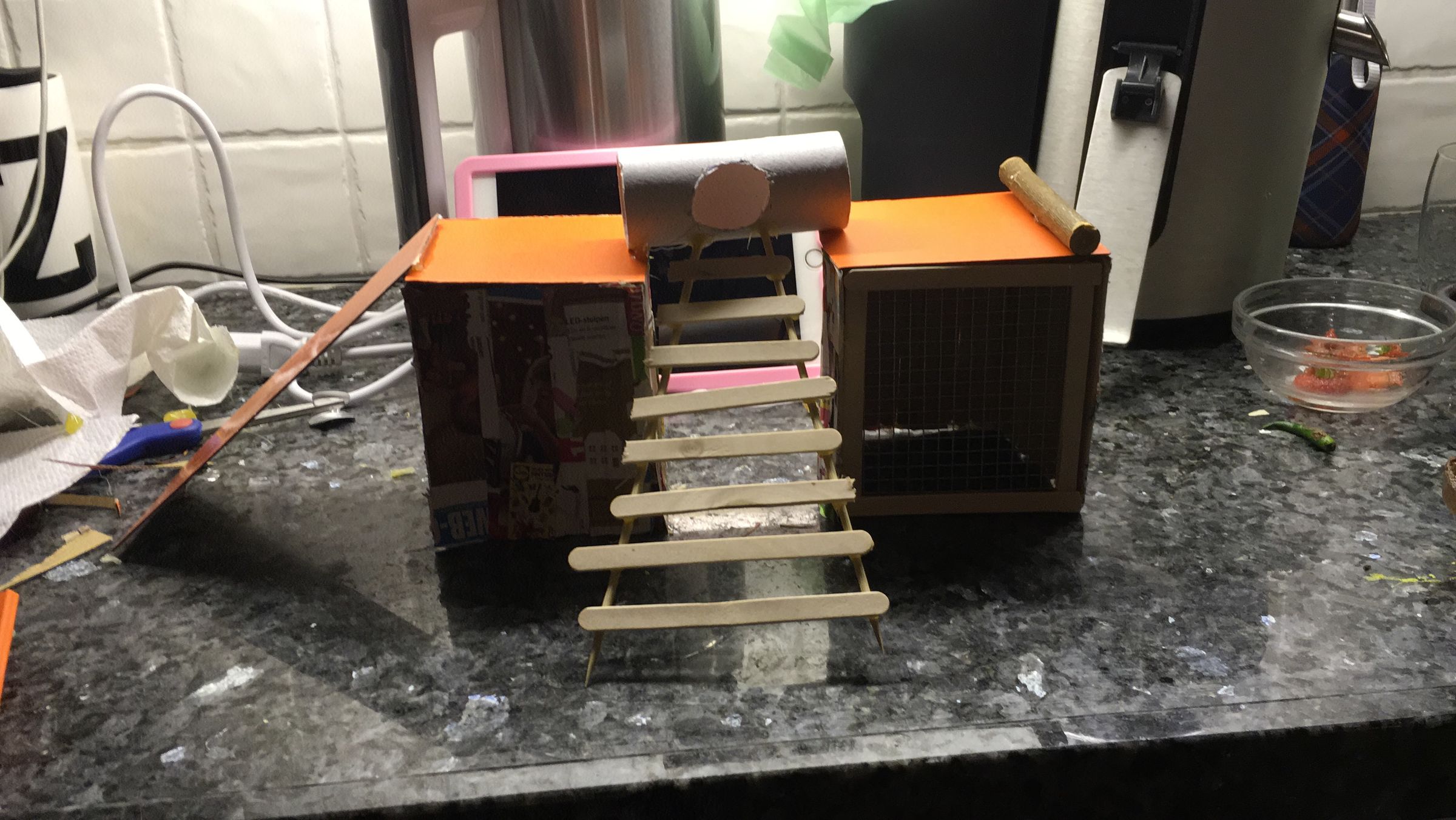 Hamster Climbing Frame : 10 Steps - Instructables