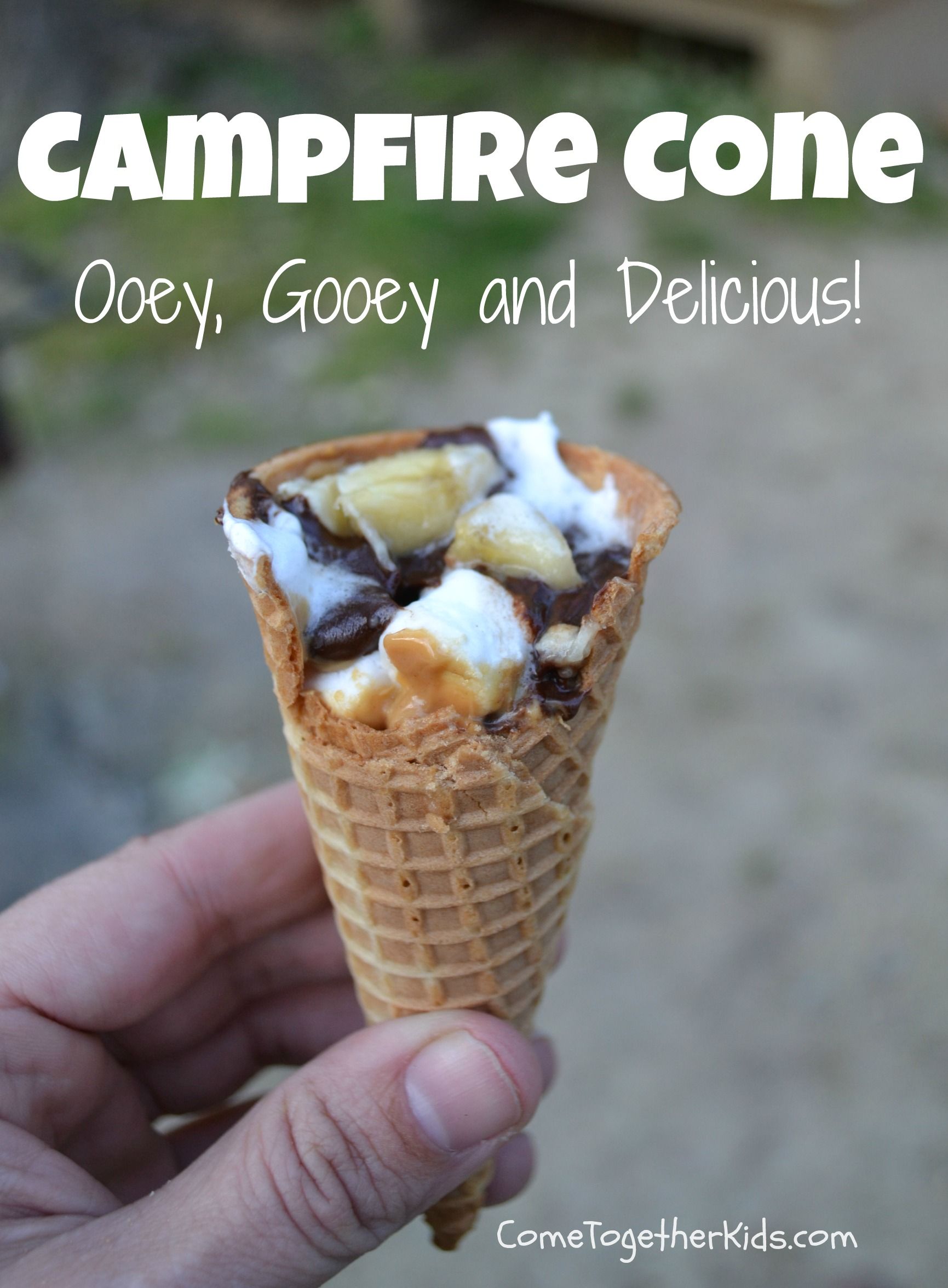 Campfire Cones : 4 Steps (with Pictures) - Instructables