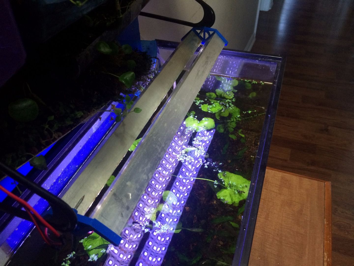Aquarium Light From LED Strips : 8 Steps (with Pictures) - Instructables