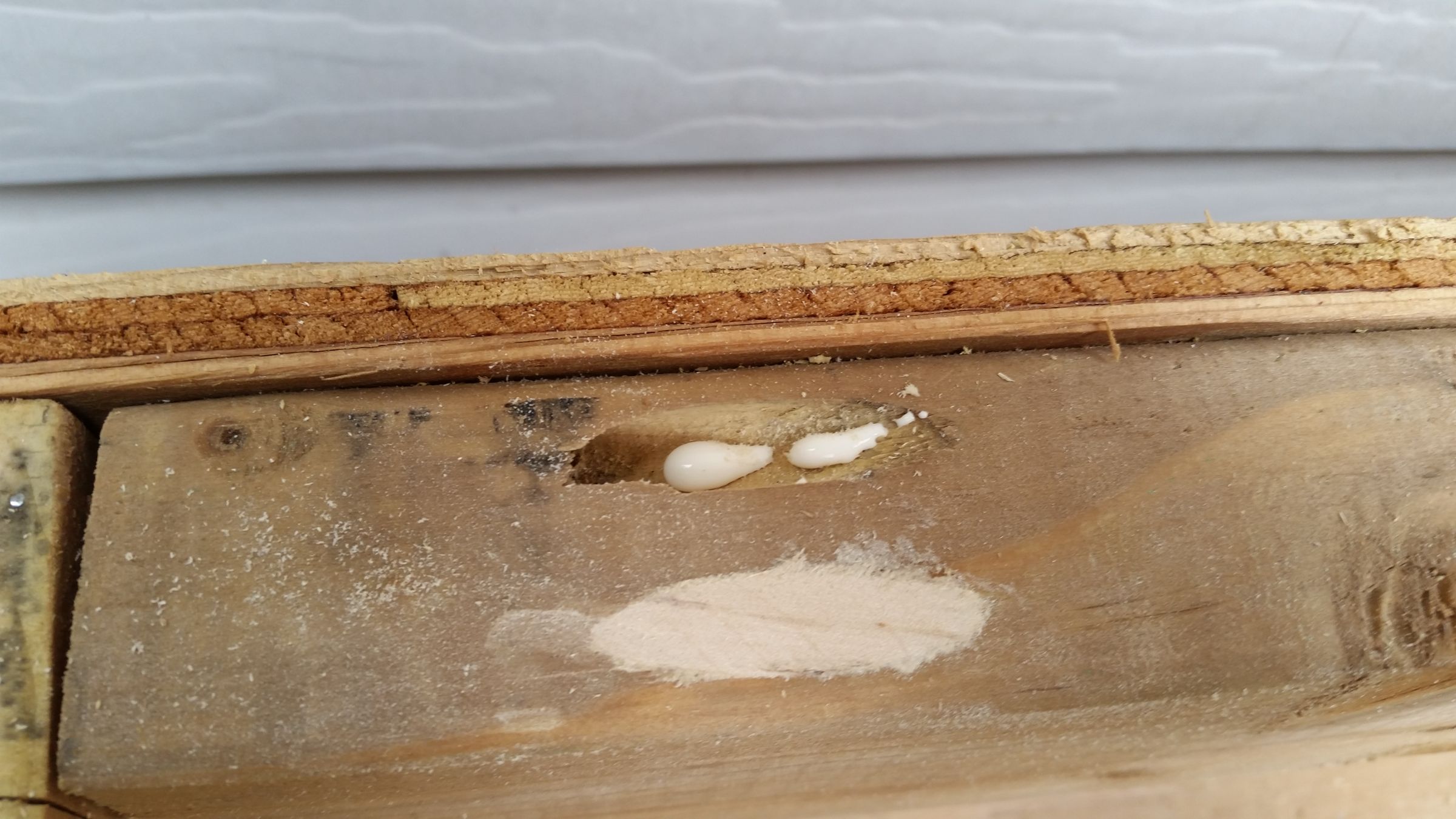 Filling Pocket Holes Cheaply : 5 Steps (with Pictures) - Instructables