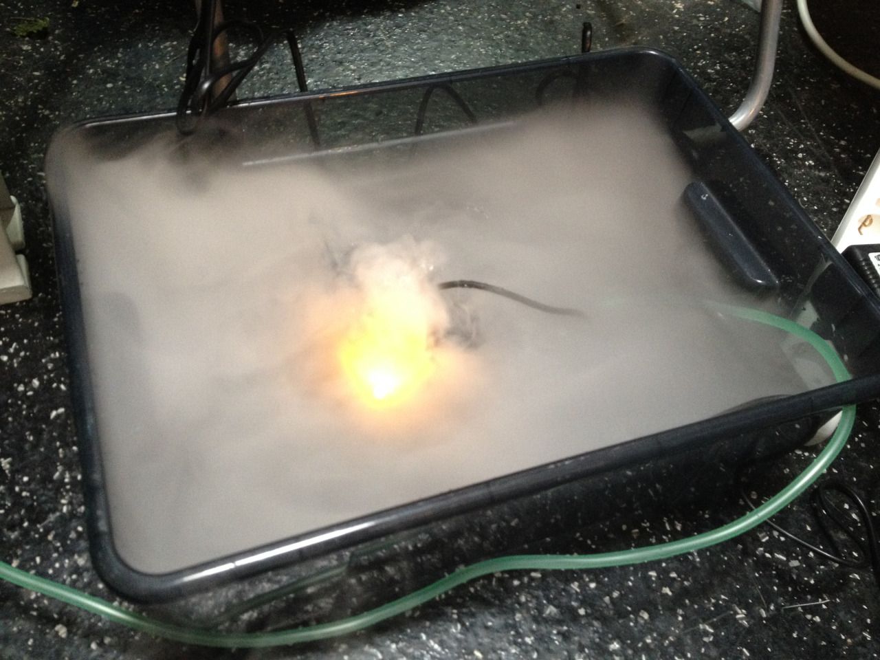 Fogponic Garden (Hydroponics With Fog) : 5 Steps (with Pictures ...