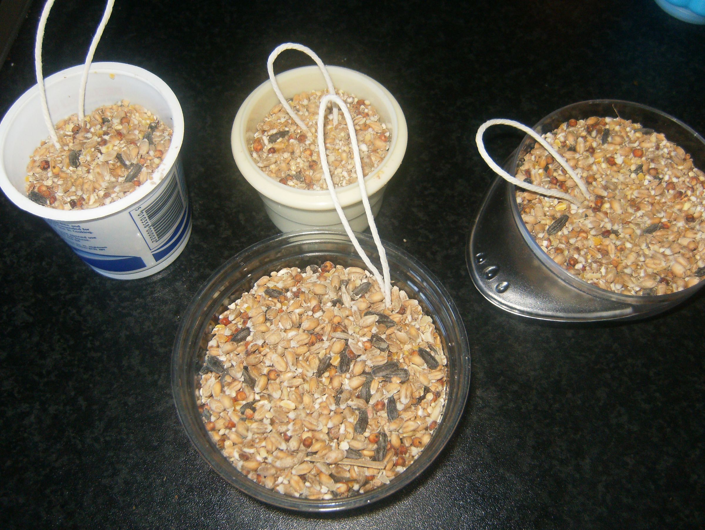 How to Make Fat Ball Bird Feeders : 4 Steps (with Pictures) - Instructables