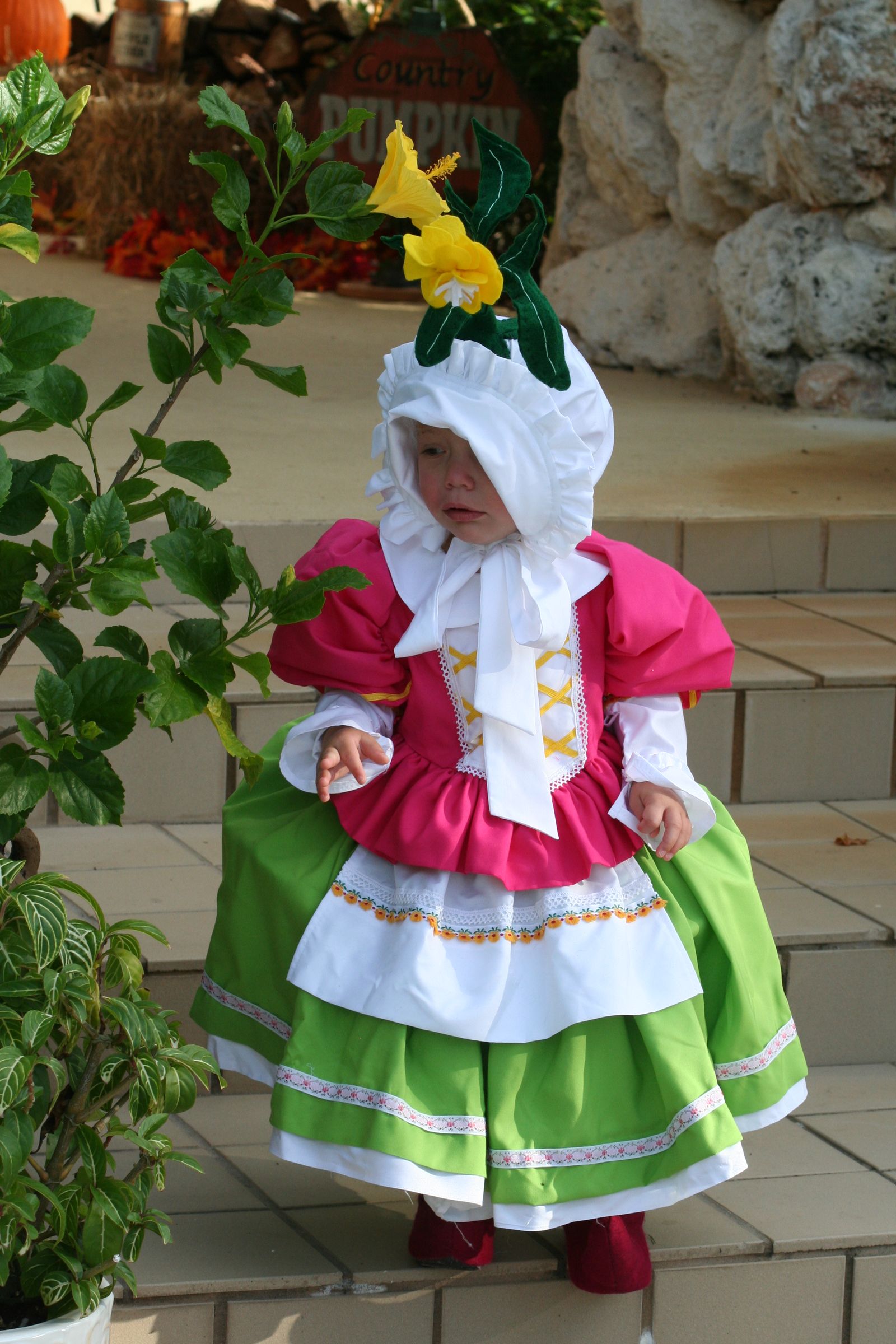 Munchkin (Wizard of OZ) - Instructables