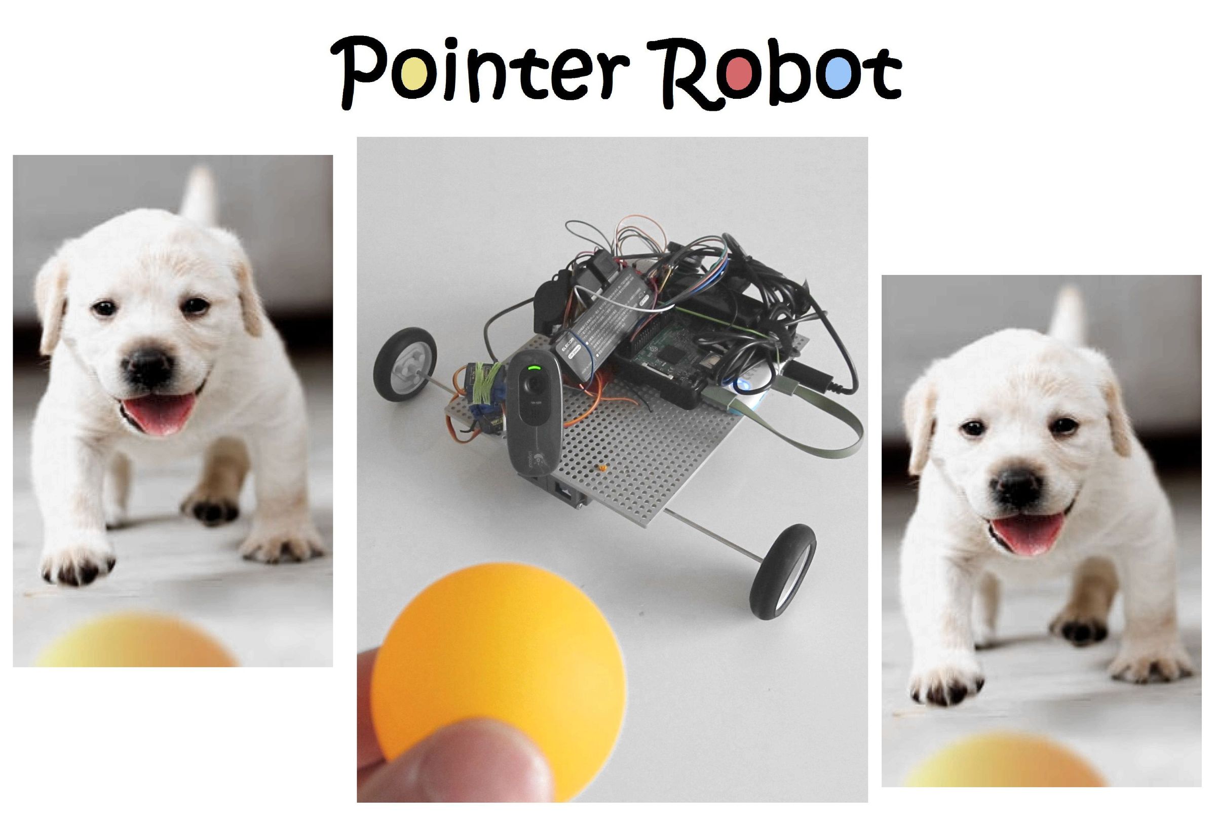 Pointer Dog Robot With RPi and Arduino : 16 Steps (with Pictures ...