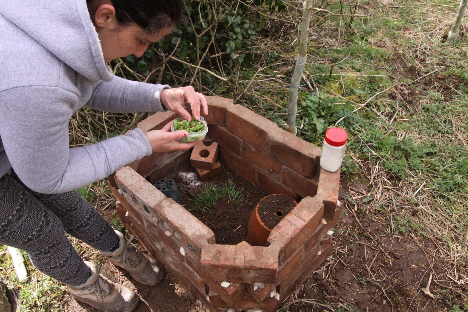 Heliciculture - Snail Farm Vivarium : 7 Steps (with Pictures ...