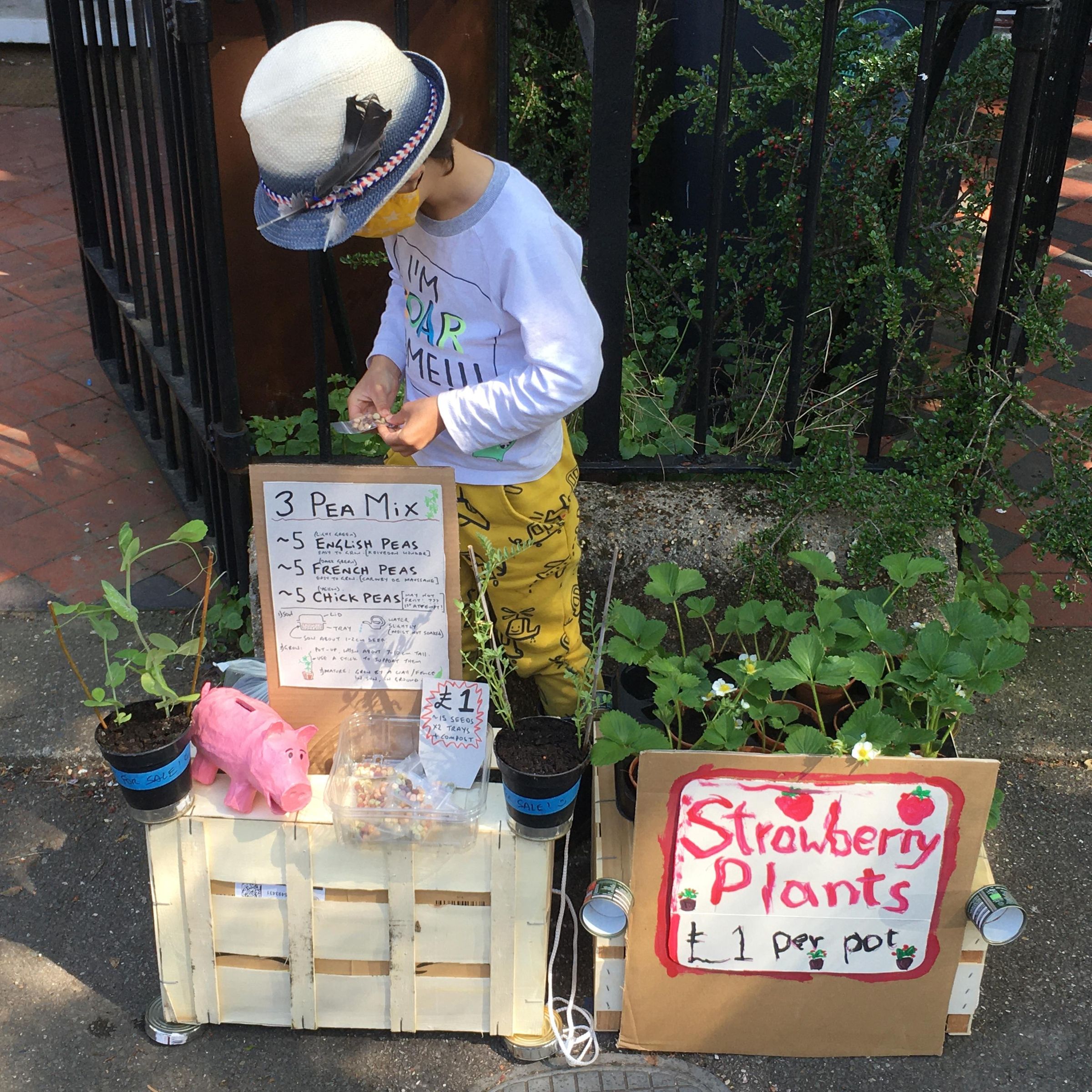 Mobile Plant Shop / Seed Swap Shop : 12 Steps (with Pictures ...