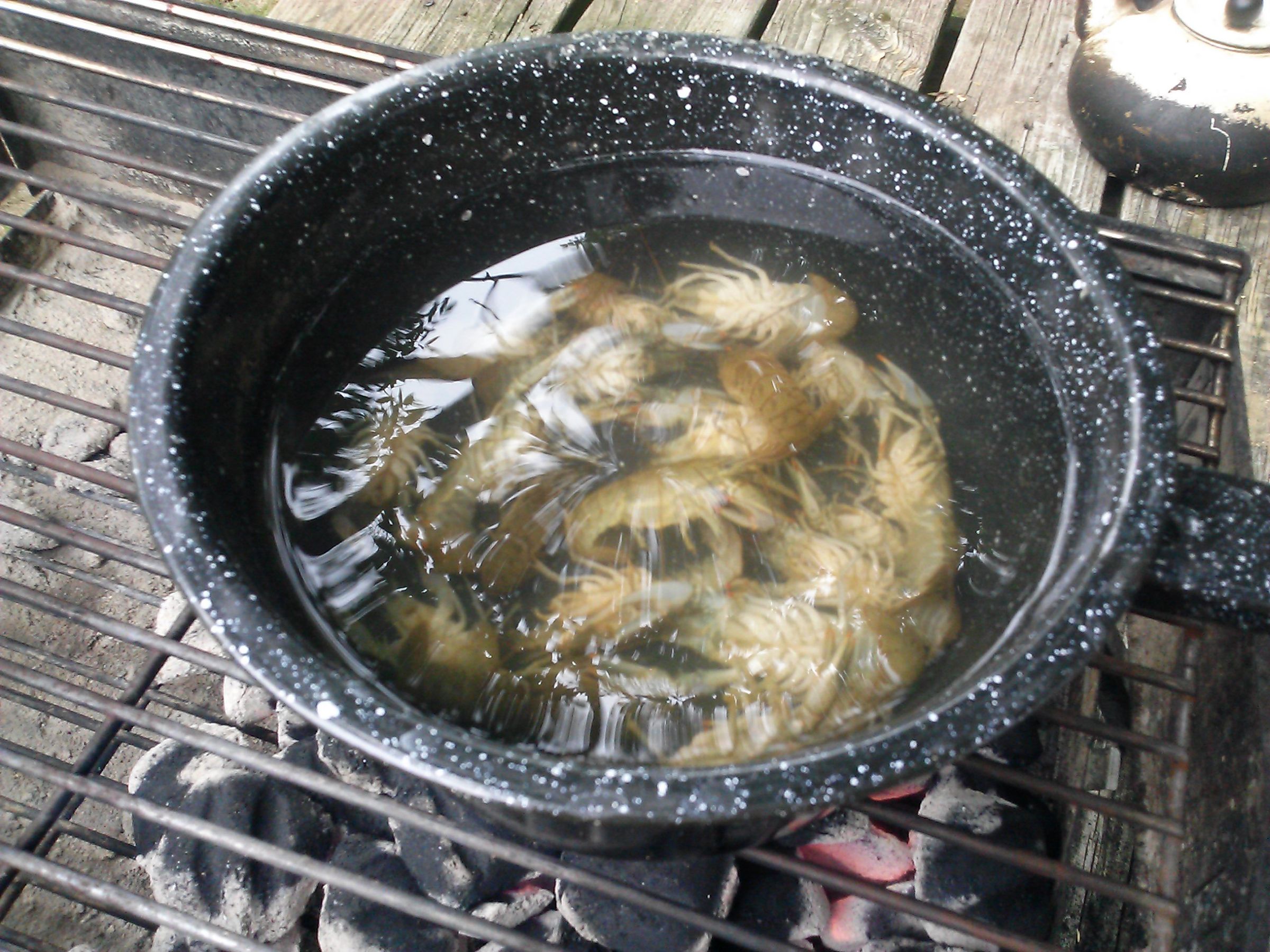 Boiling Fresh Crayfish - a Timeless Tradition : 4 Steps (with Pictures ...