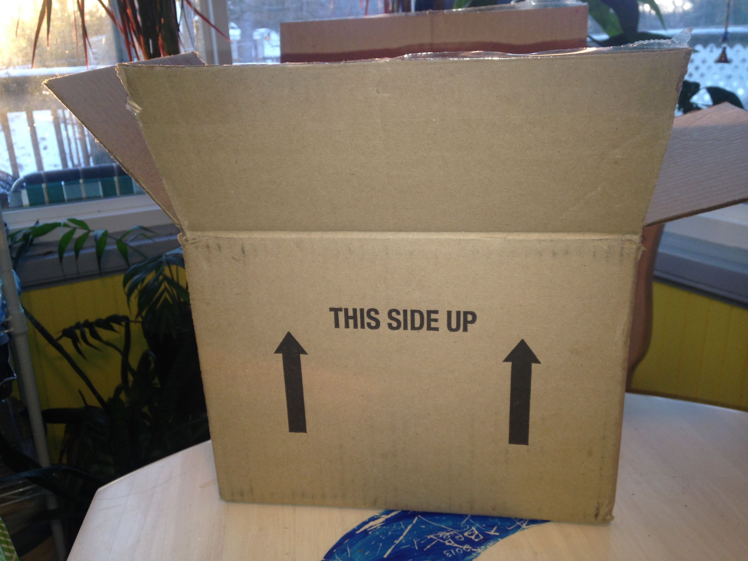 Recycle Paper Into Edible Gourmet Mushrooms : 8 Steps - Instructables