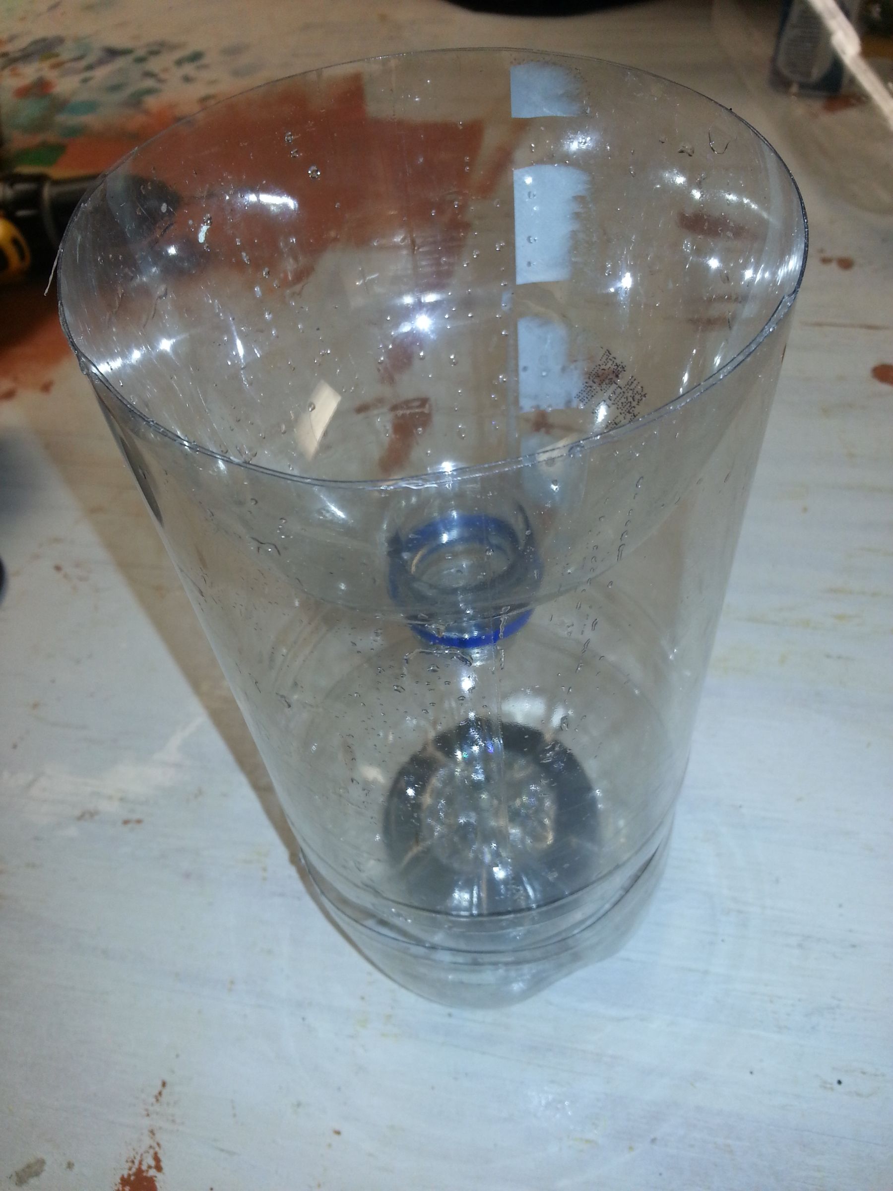 The Inescapable Stink Bug Trap : 5 Steps - Instructables