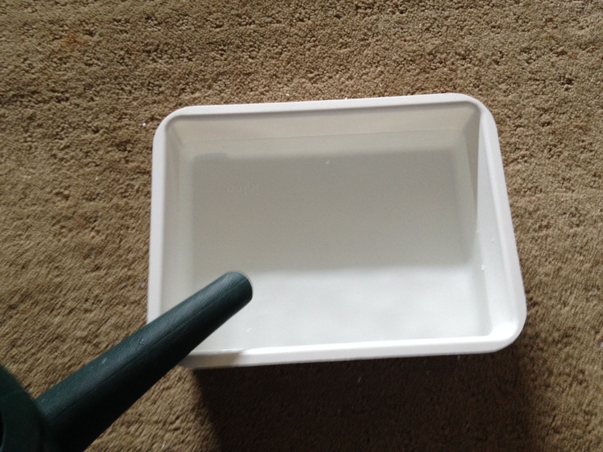 Avocado Seed Tray : 7 Steps - Instructables