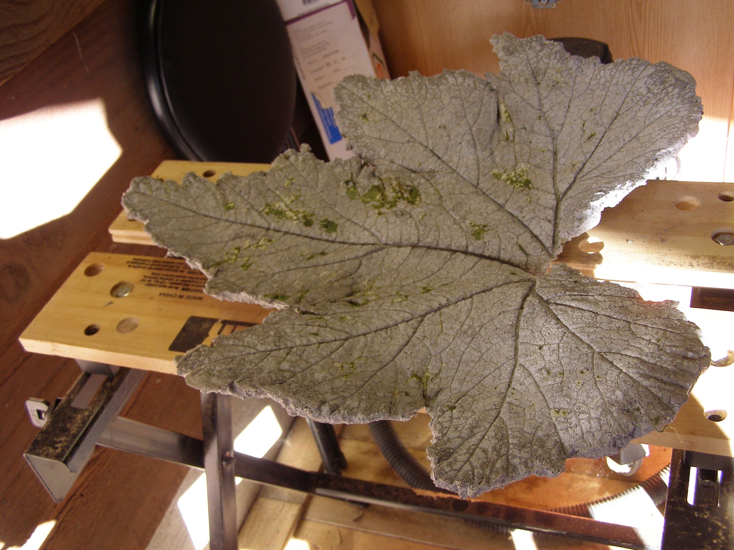 Concrete Leaves for Gardens or Fountains : 7 Steps (with Pictures ...