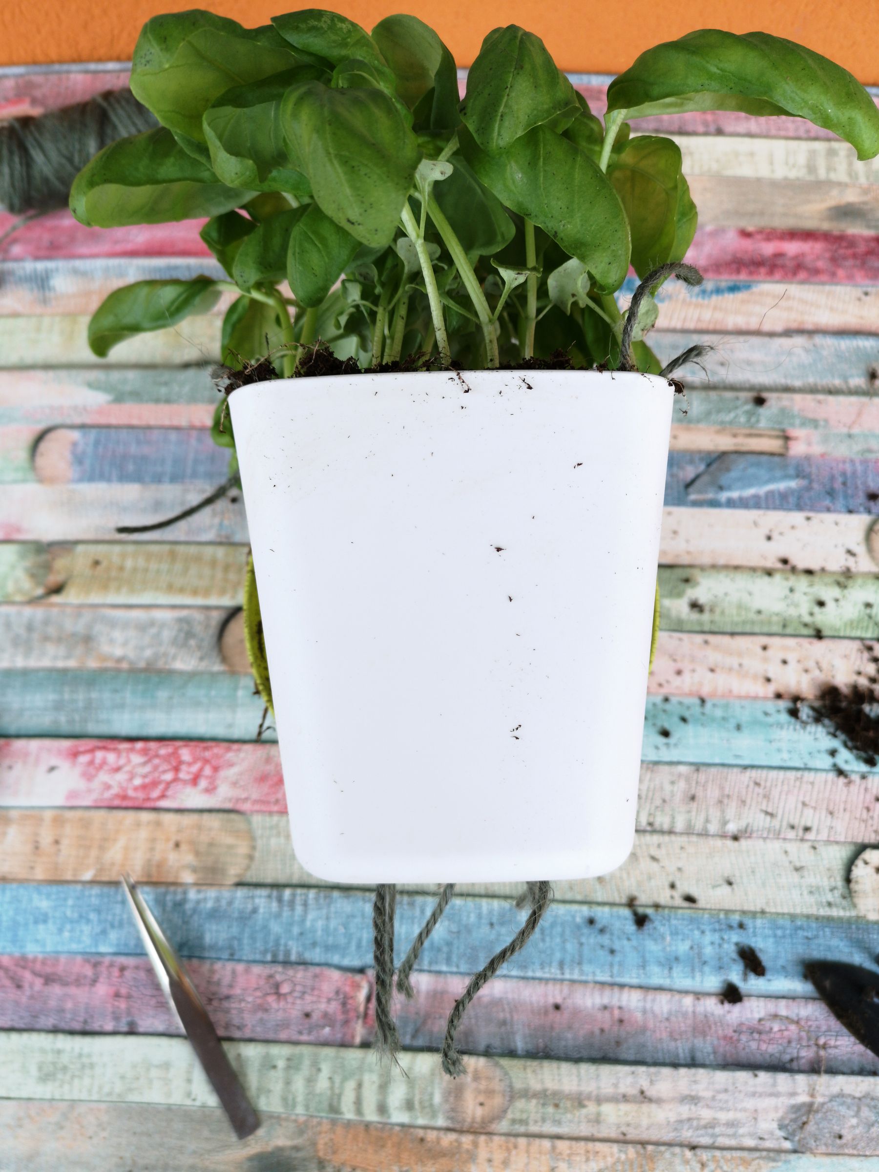 IKEA Self Watering System : 9 Steps (with Pictures) - Instructables