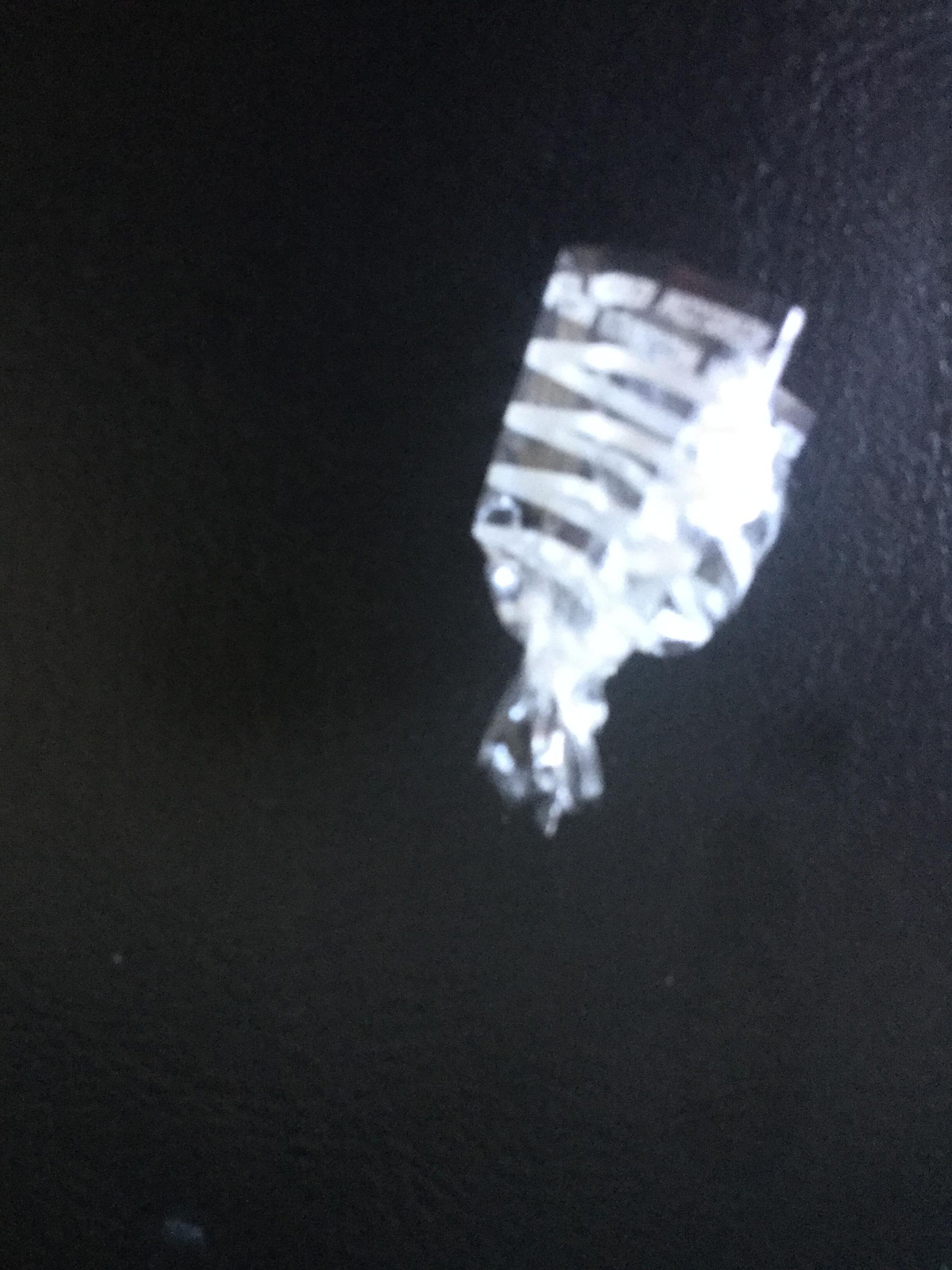 Marine Ecosystem Model With Candy! : 30 Steps - Instructables