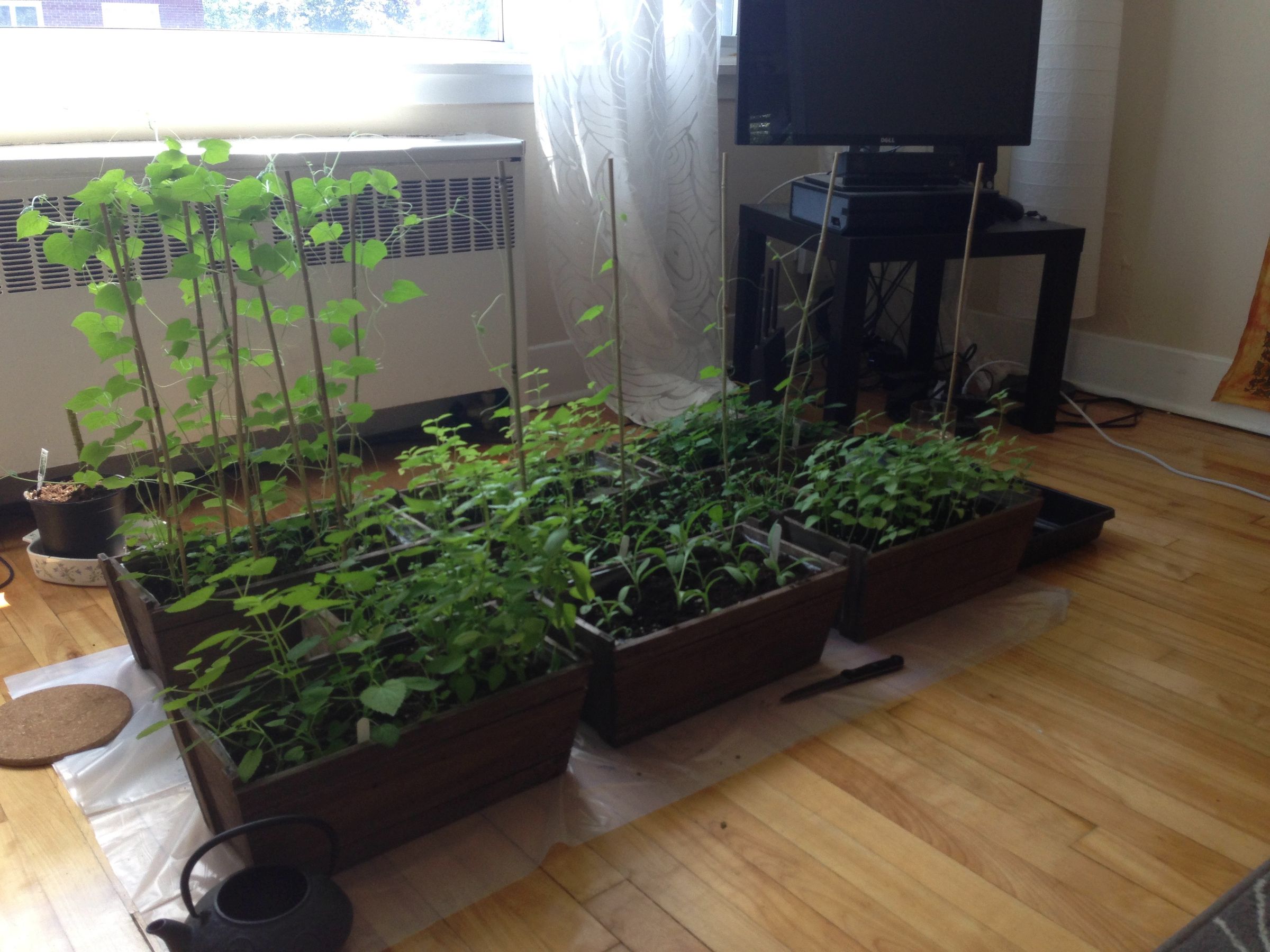 Garduino: Gardening + Arduino : 14 Steps (with Pictures) - Instructables