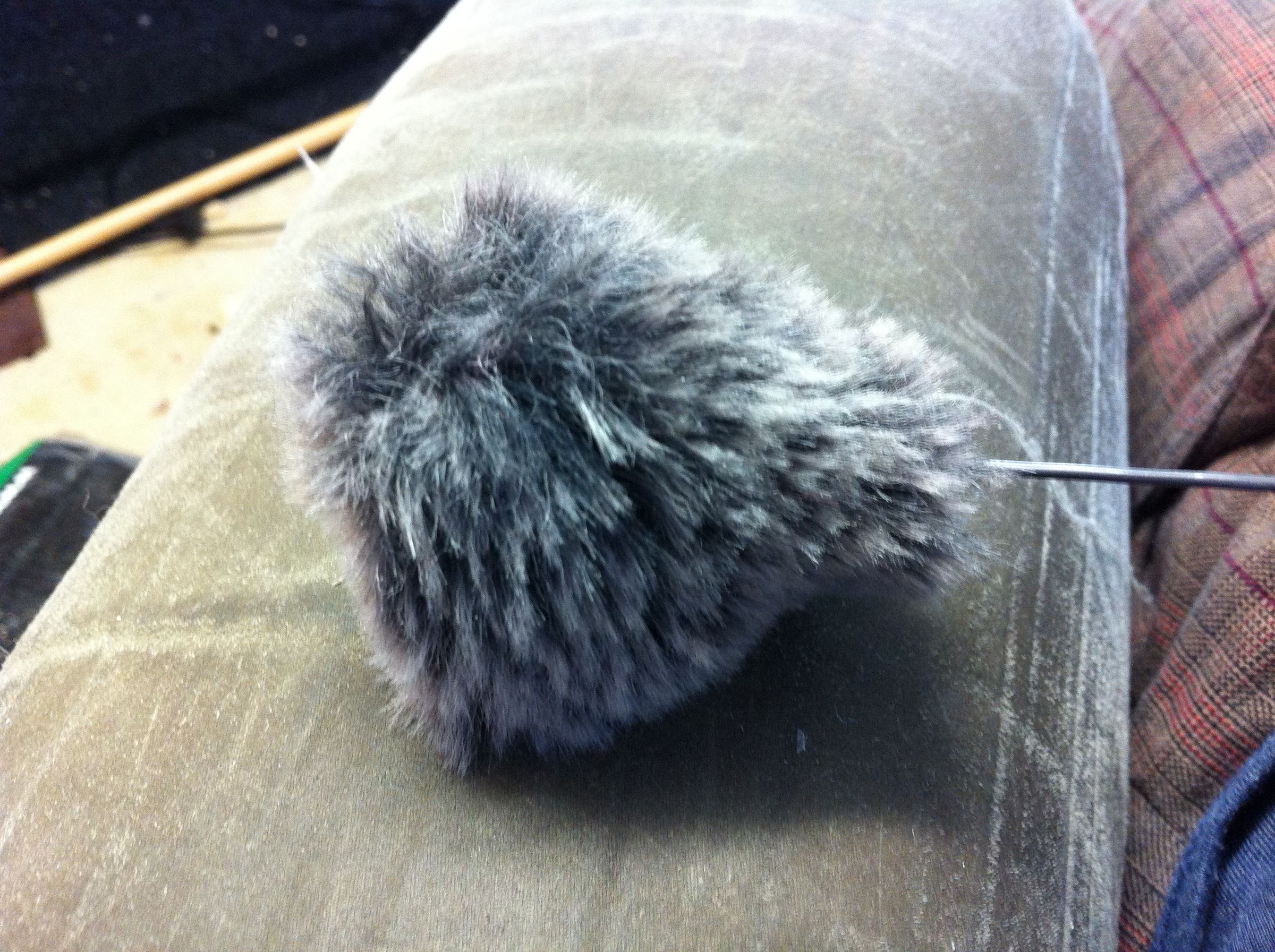 Magnetic Cat Toy : 6 Steps (with Pictures) - Instructables