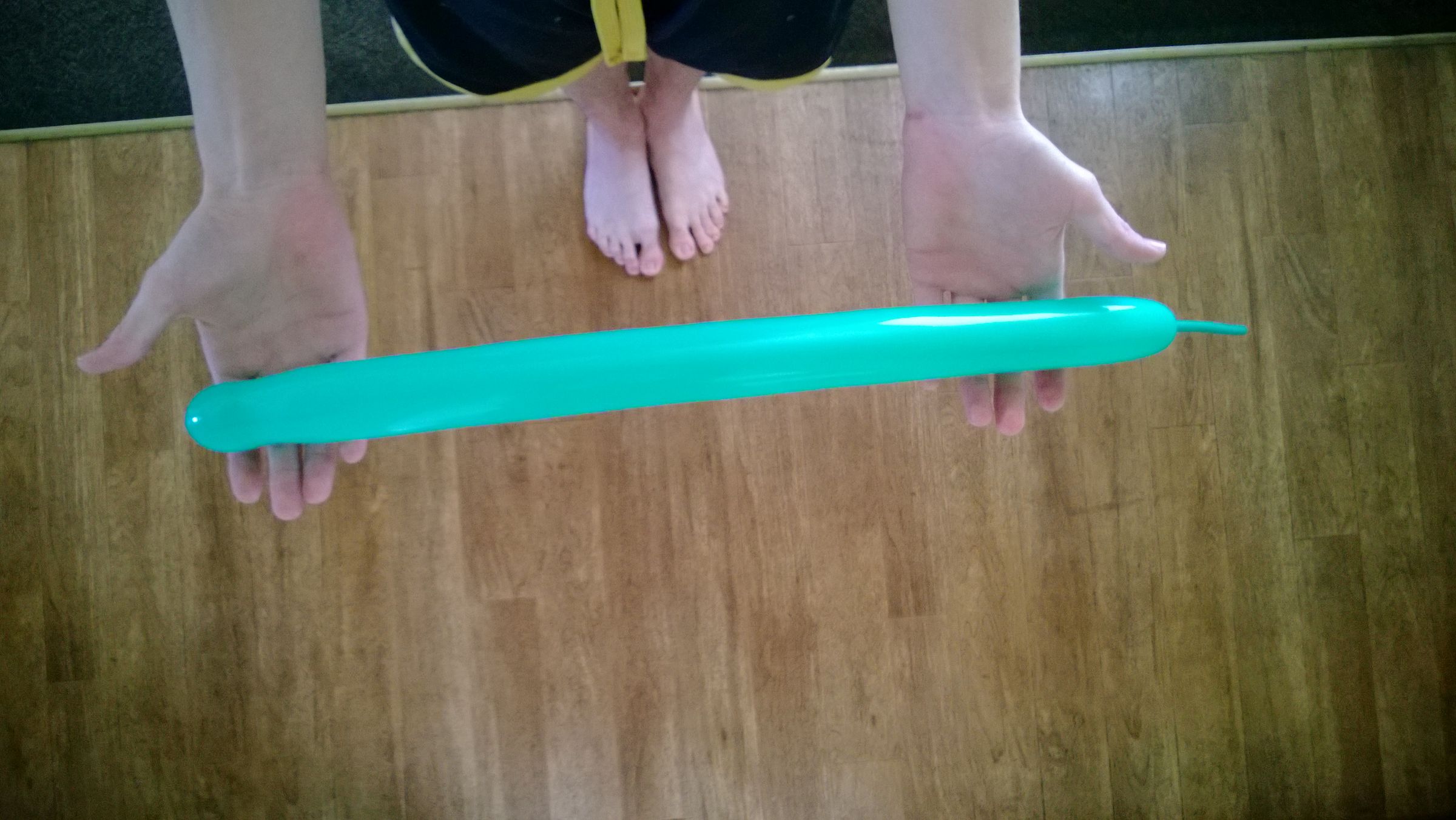 Balloon Turtle : 7 Steps - Instructables