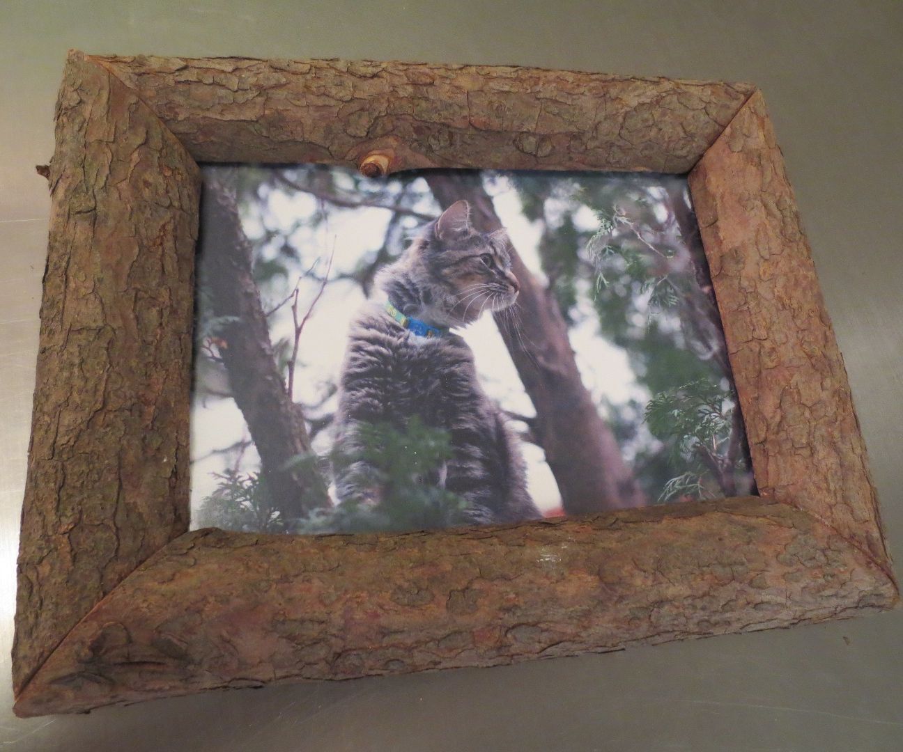 How to Make a 'Nature Frame' : 11 Steps (with Pictures) - Instructables
