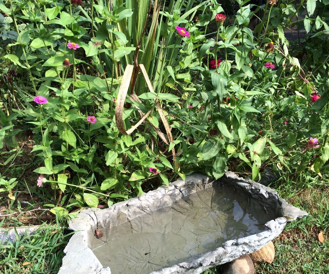 Nature Inspired Water Basin With Shapecrete : 6 Steps (with Pictures ...