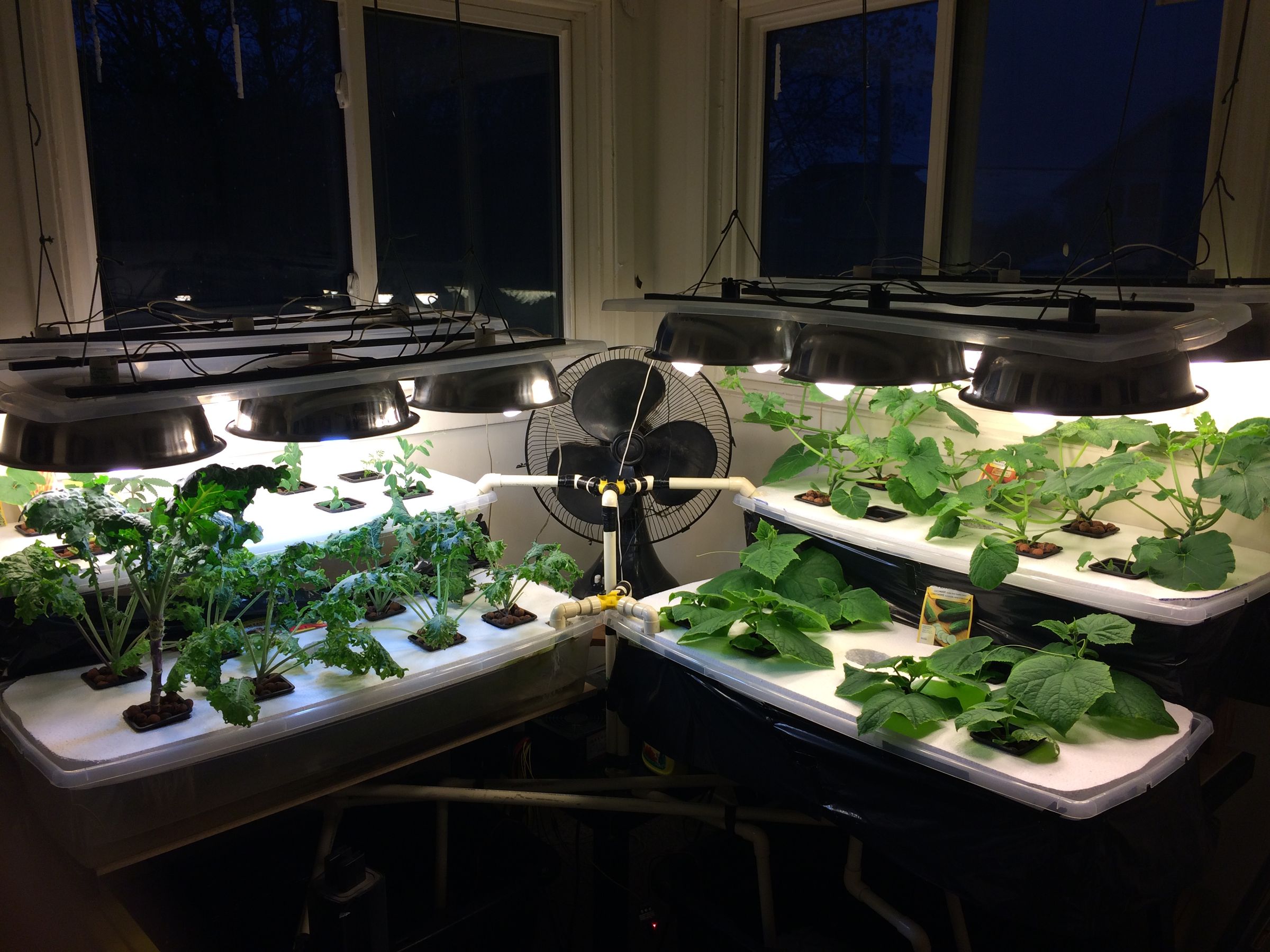 Indoor Hydro/Aqua-ponic Garden : 8 Steps (with Pictures) - Instructables